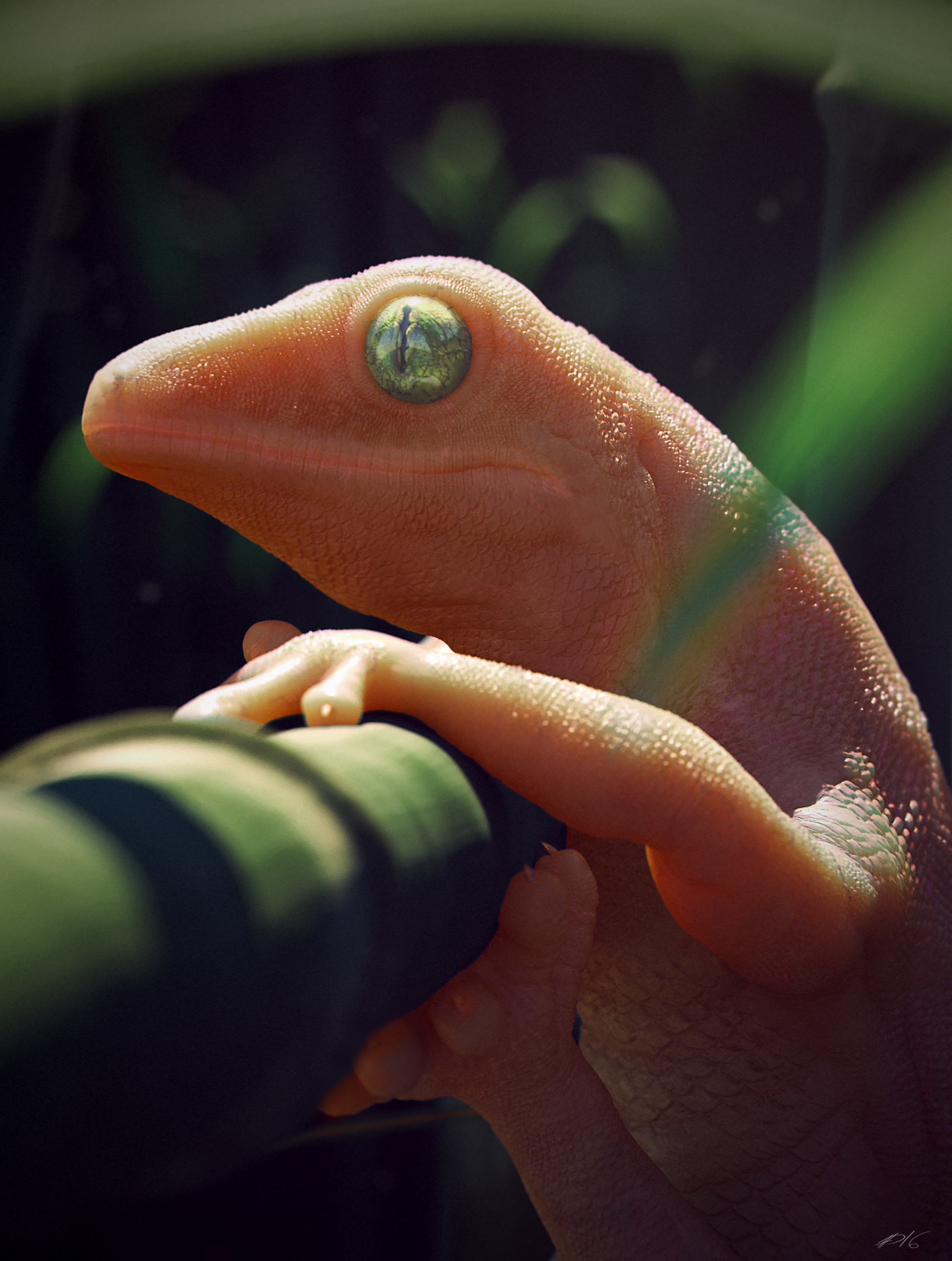 ArtStation - Gecko