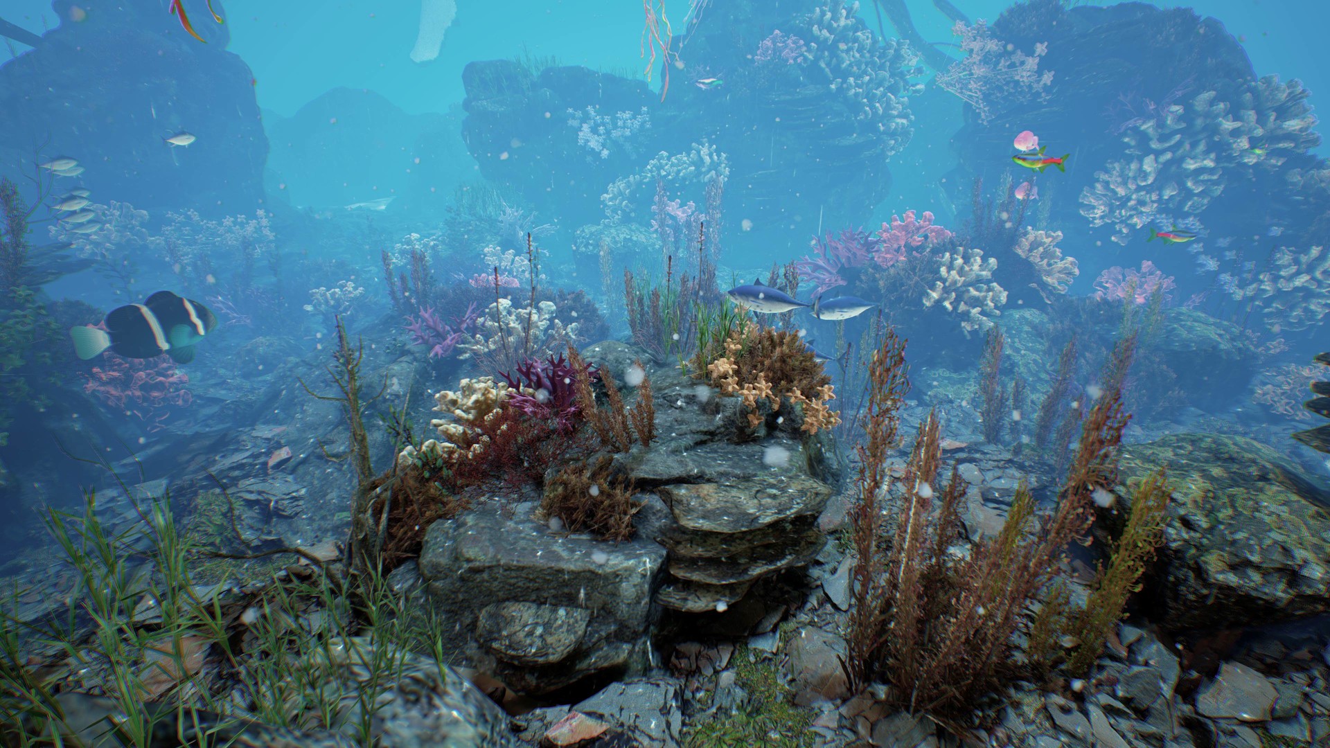 Jhosep Chevarria Capacoila - Underwater Scene - Unreal Engine 4, VR Ready