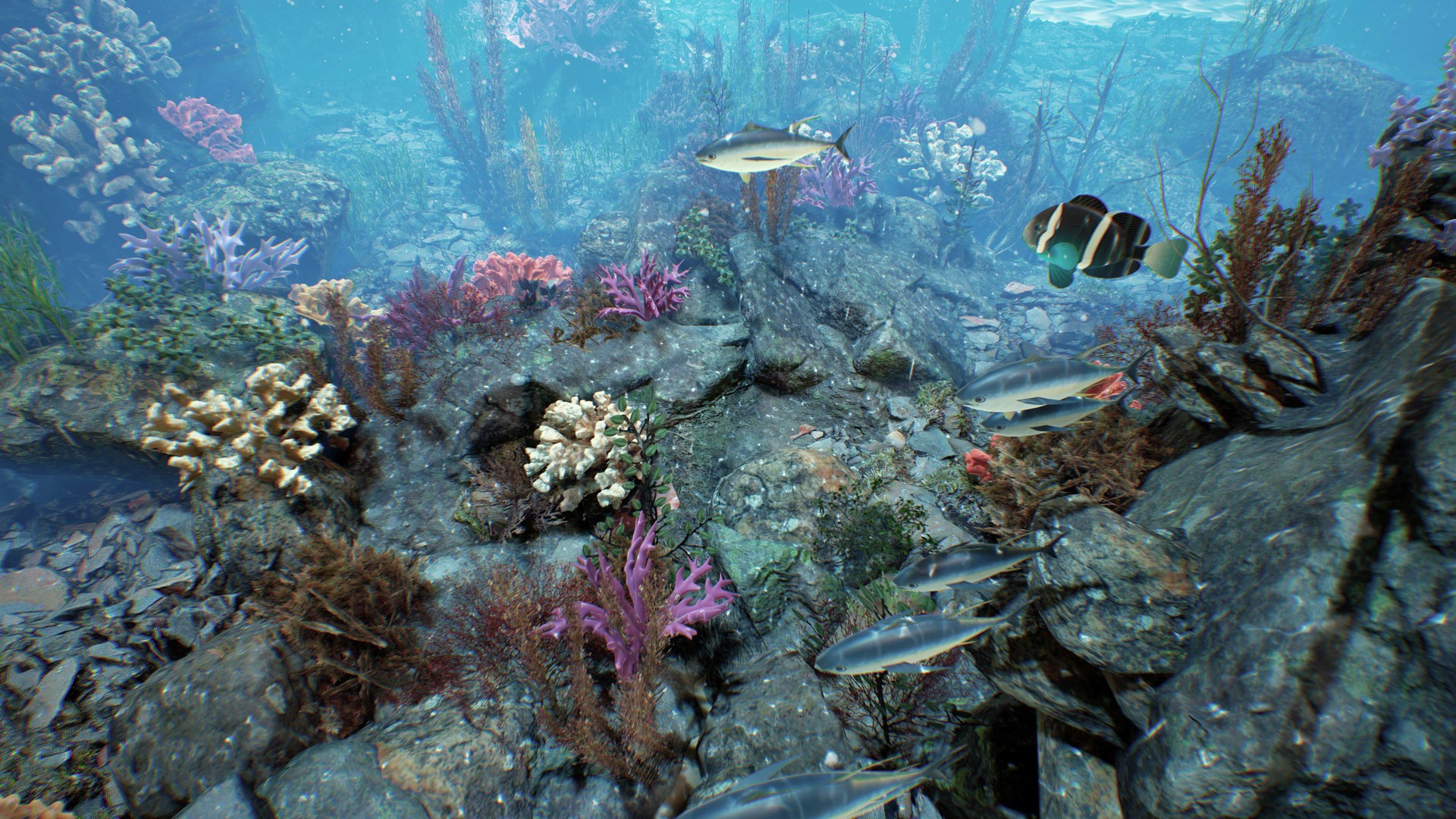 Jhosep Chevarria Capacoila - Underwater Scene - Unreal Engine 4, VR Ready