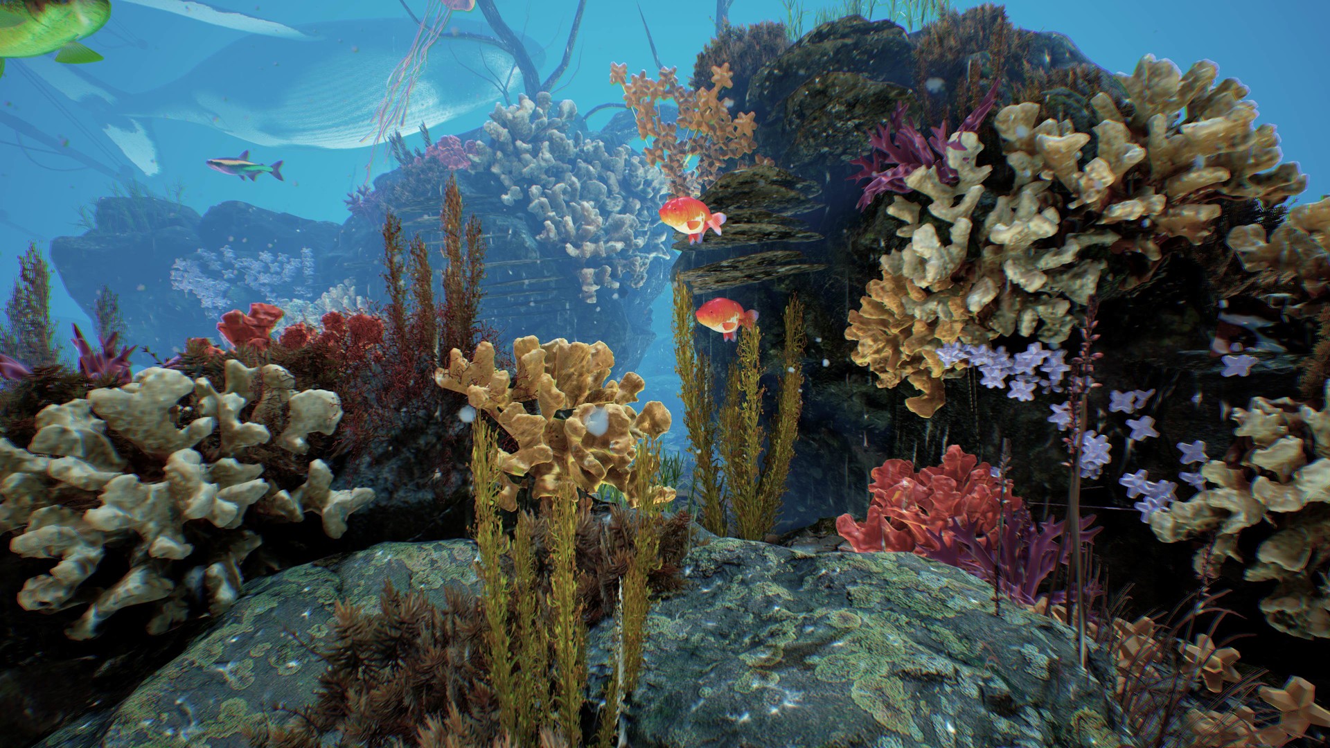 Jhosep Chevarria Capacoila - Underwater Scene - Unreal Engine 4, VR Ready
