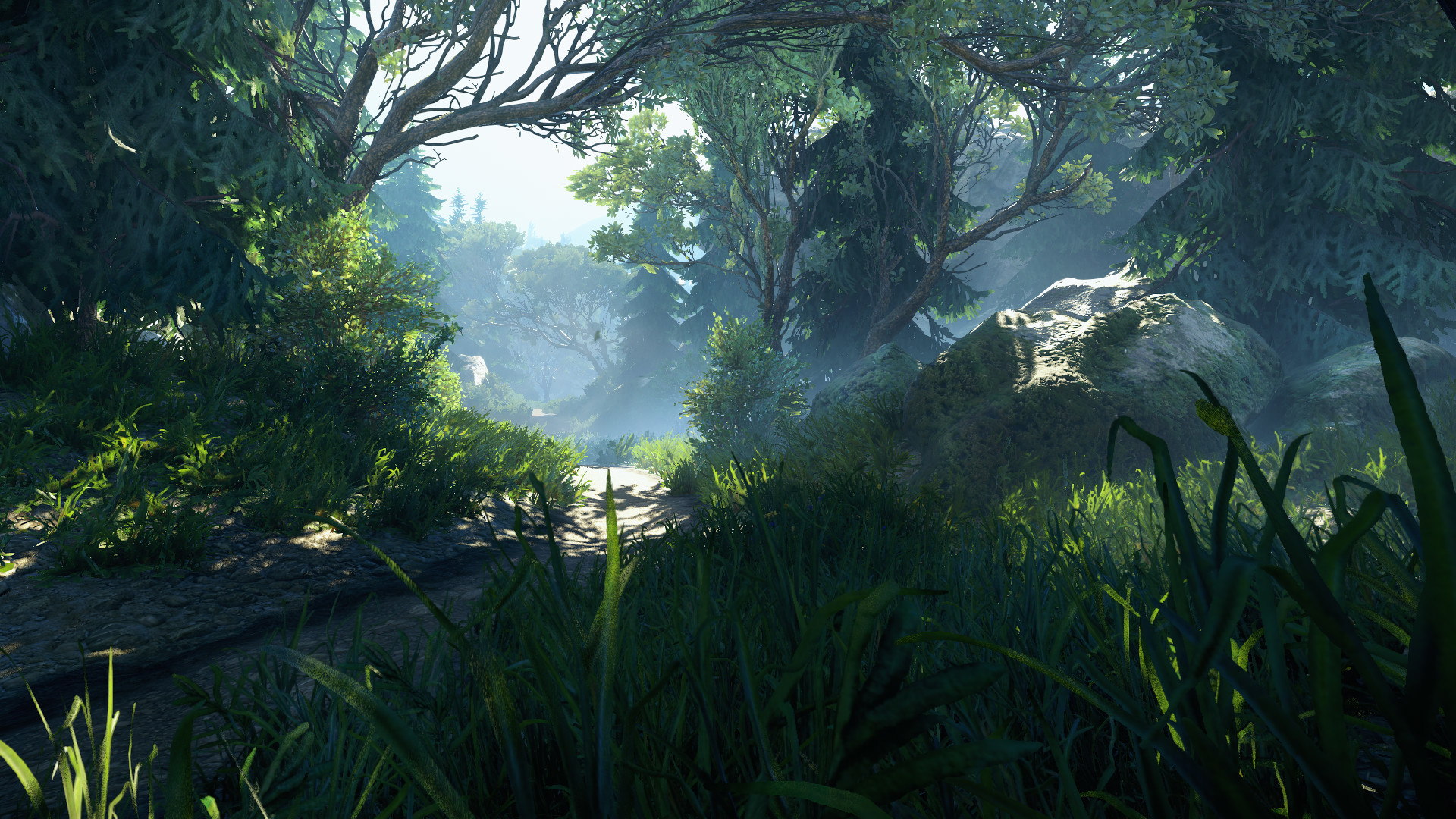 ArtStation - Forest study No.2