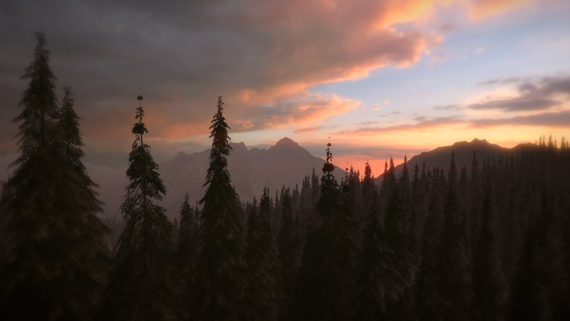 ArtStation - Fantasy forest