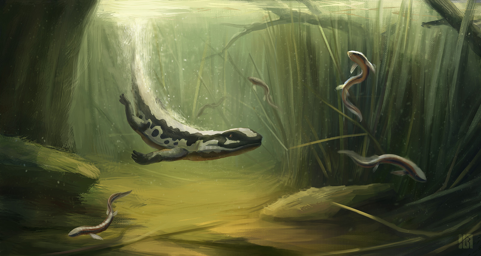 primeval labyrinthodont