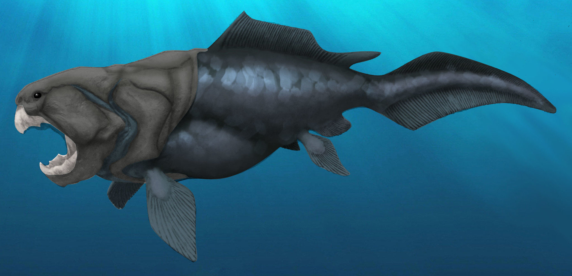 Mark Dowman - Dunkleosteus Color Study
