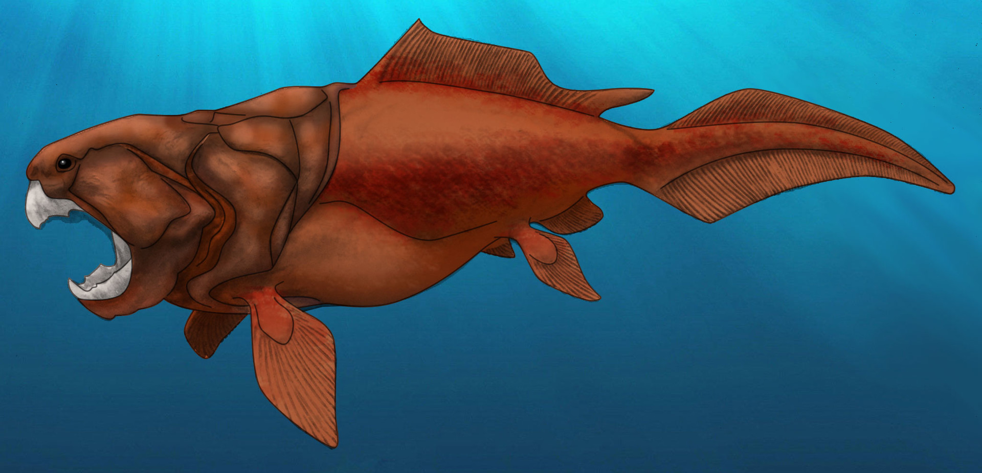 Mark Dowman - Dunkleosteus Color Study