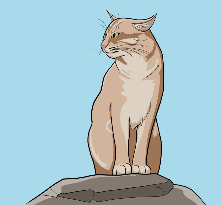 ArtStation - Collection of Cats