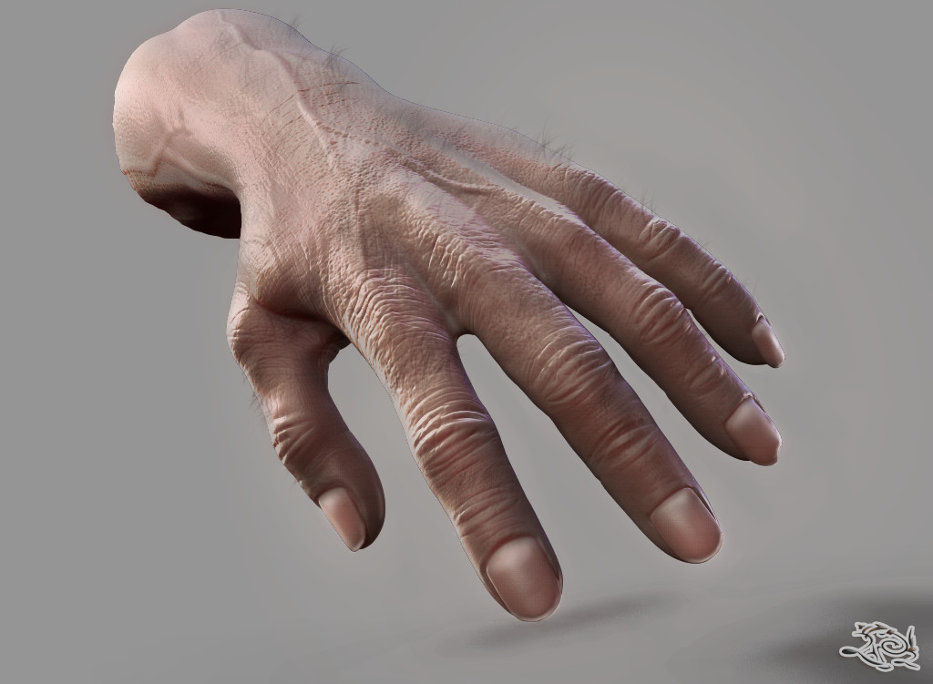 ArtStation - Hand Studies.....