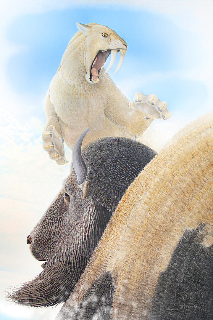 ArtStation - Smilodon