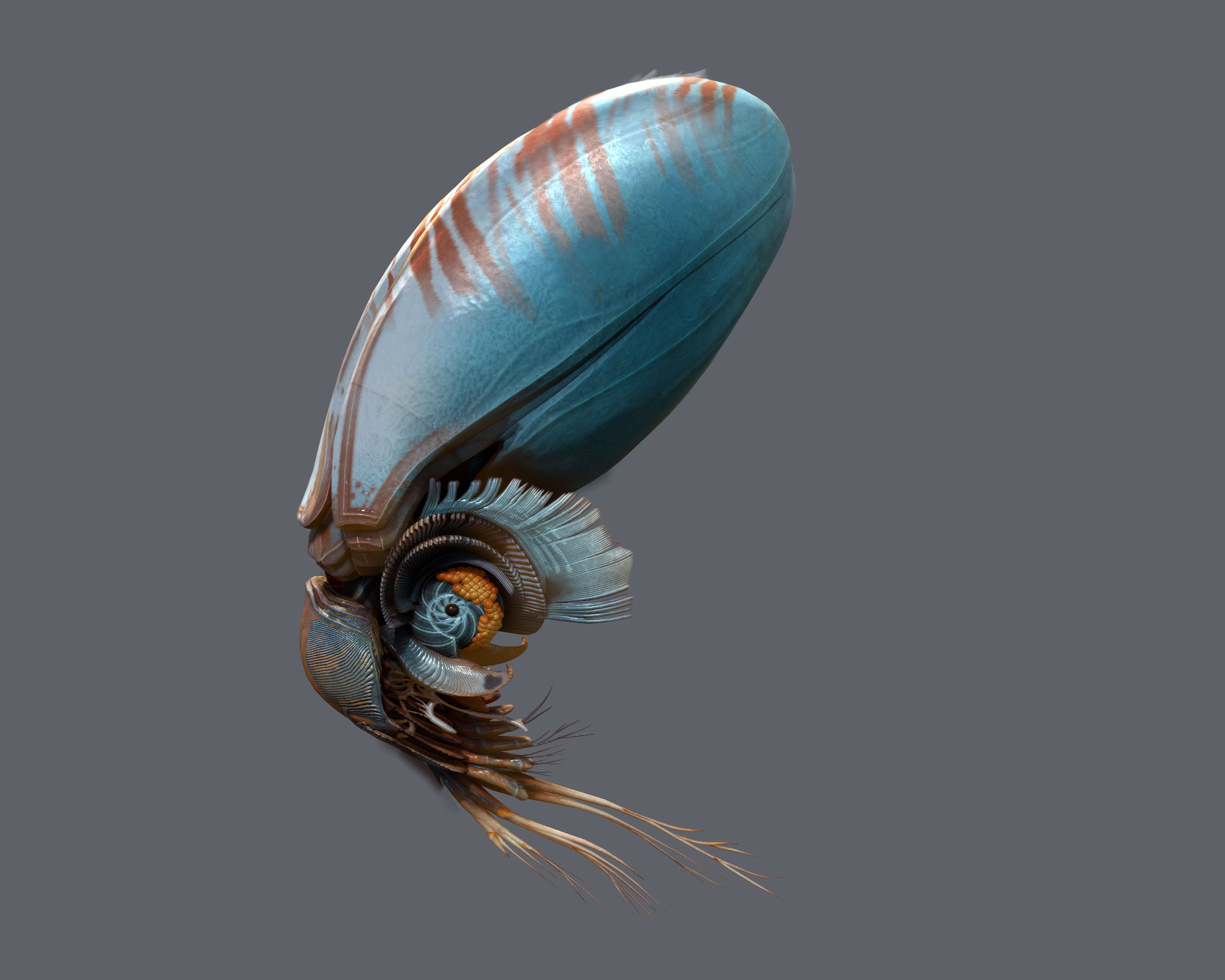 Tyler Smith - Alien Squid 01