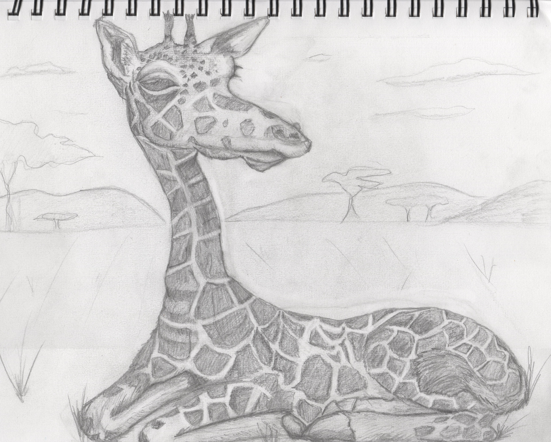 Jeffrey Metcalf - Giraffe Assignment - Drawing Fundamentals w/Thomas ...