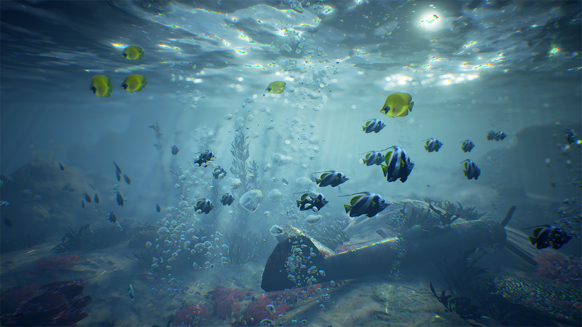 ocean floor textures