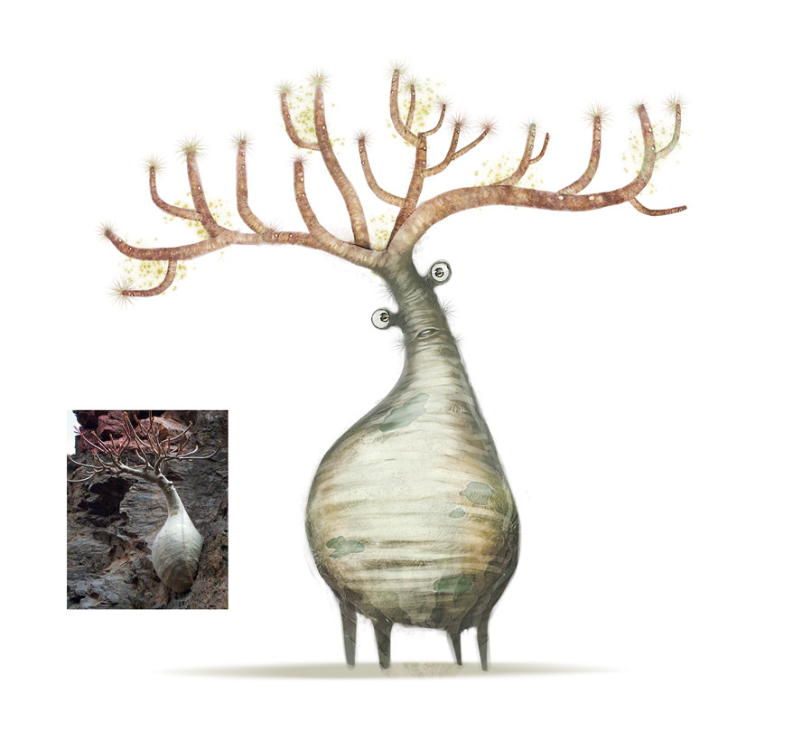 ArtStation - baobab tree personification