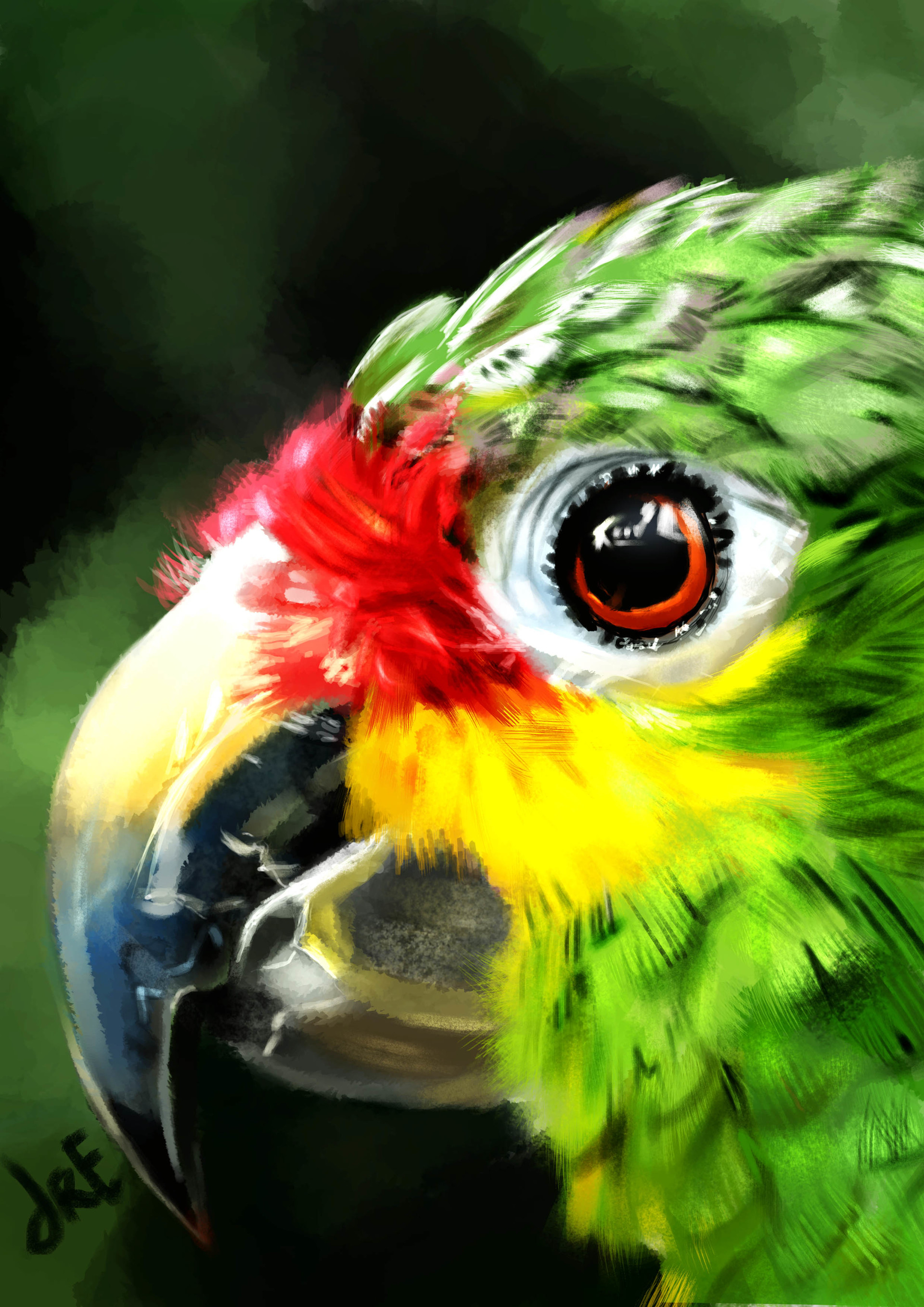 ArtStation - Portrait painting study : Amazon Parrot