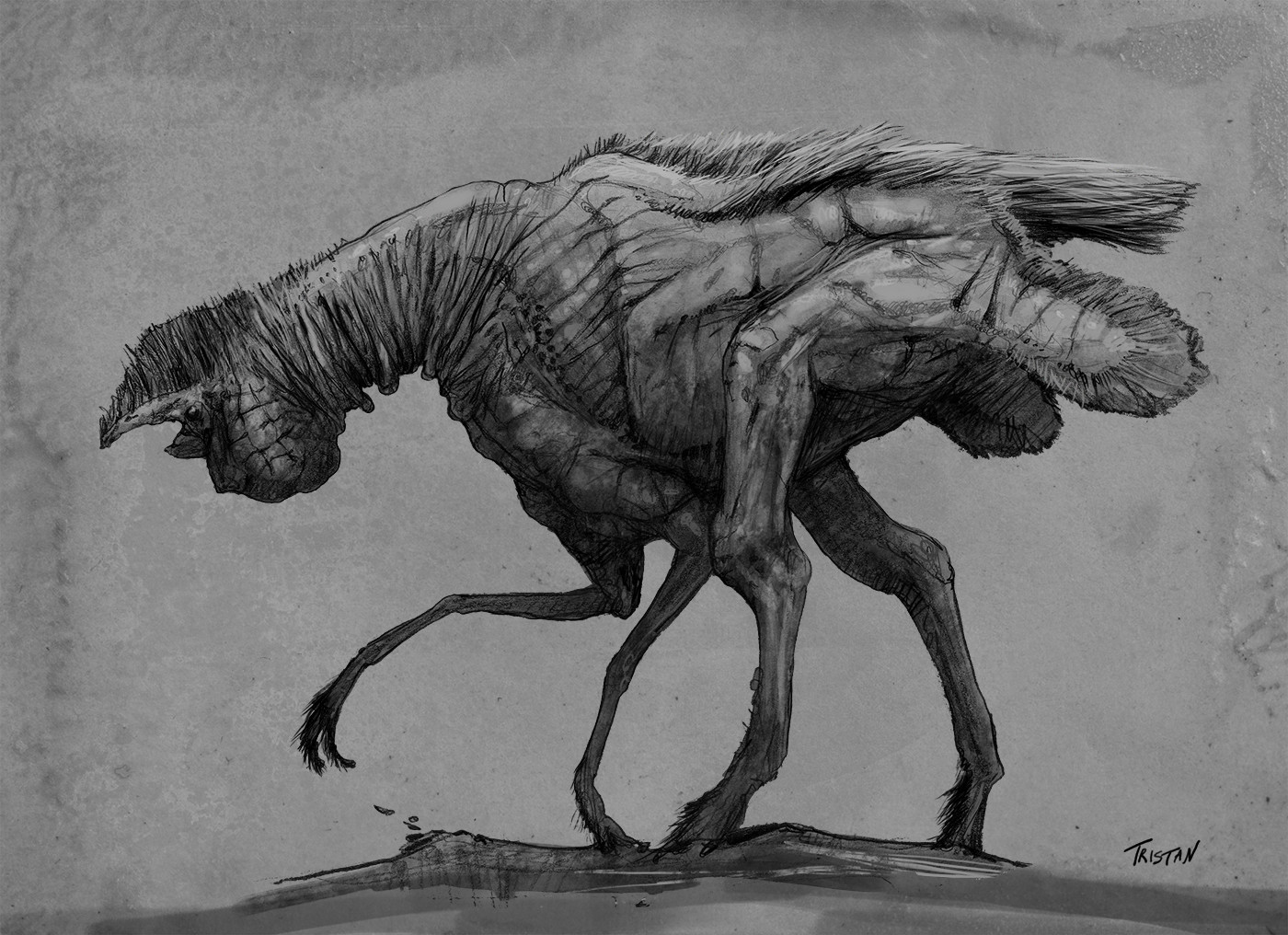 ArtStation - Alien_Animal