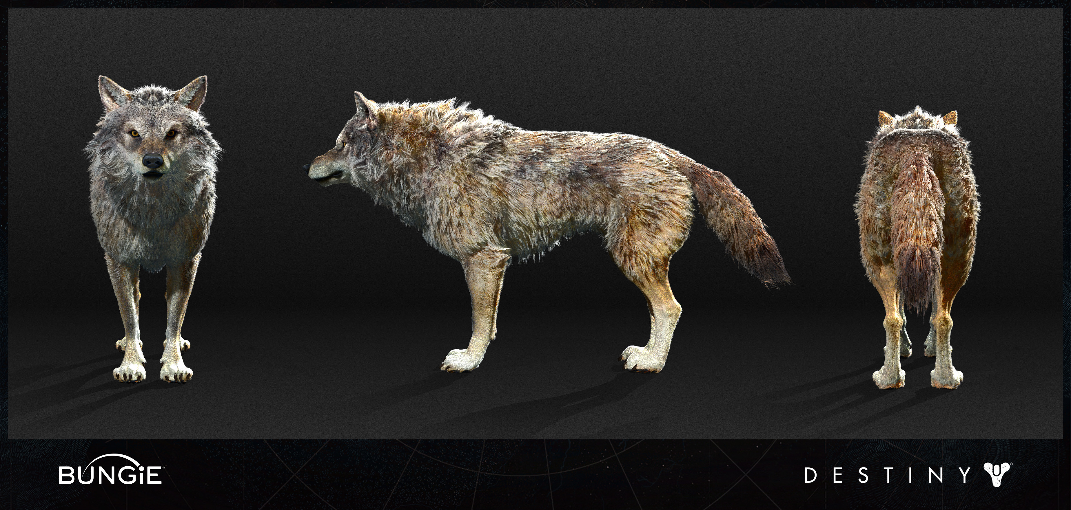 Ian McIntosh - Destiny: Rise of Iron - Wolf - High Poly