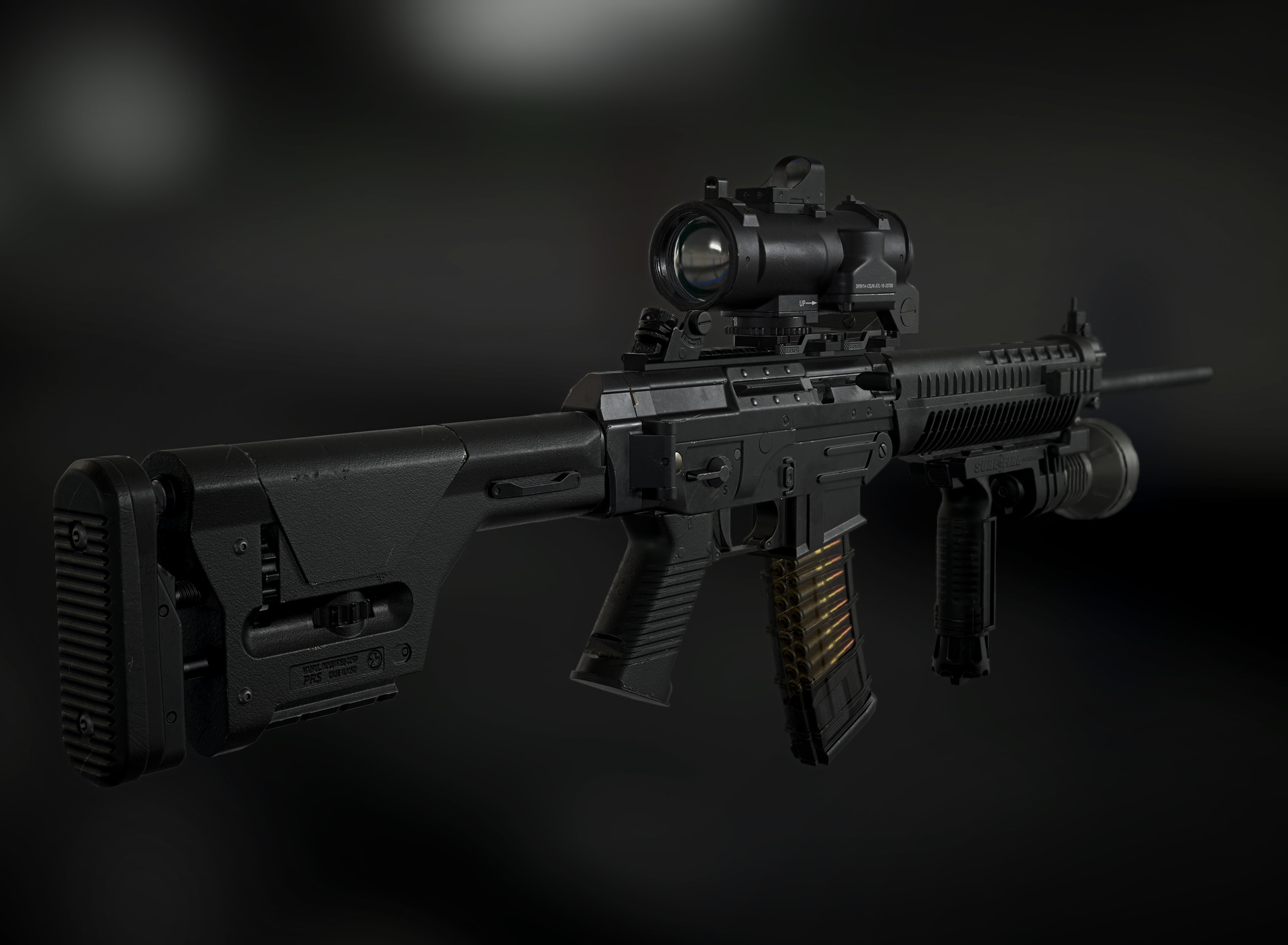 dohyun Park - SIG 556(DMR)