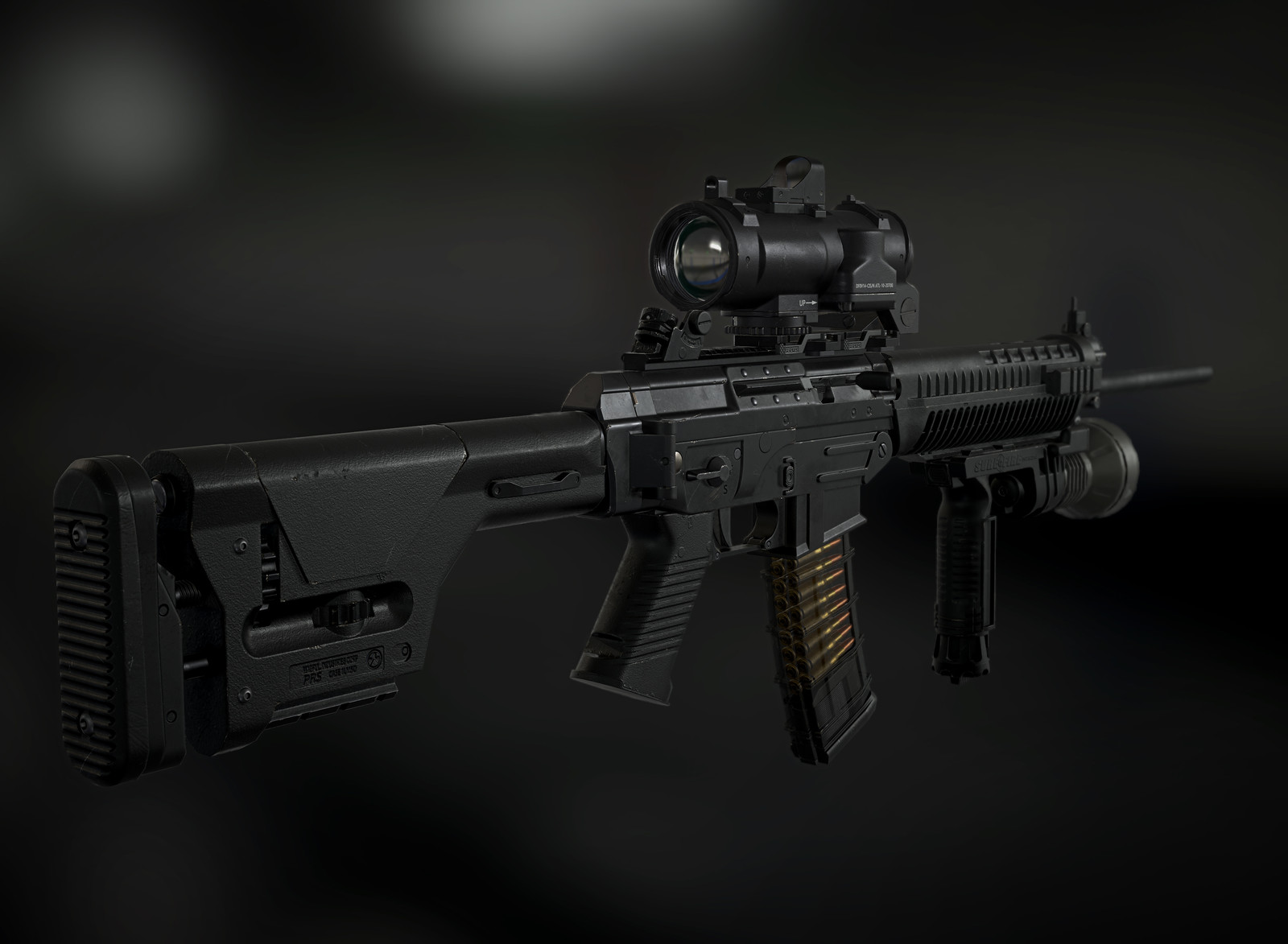 dohyun Park - SIG 556(DMR)