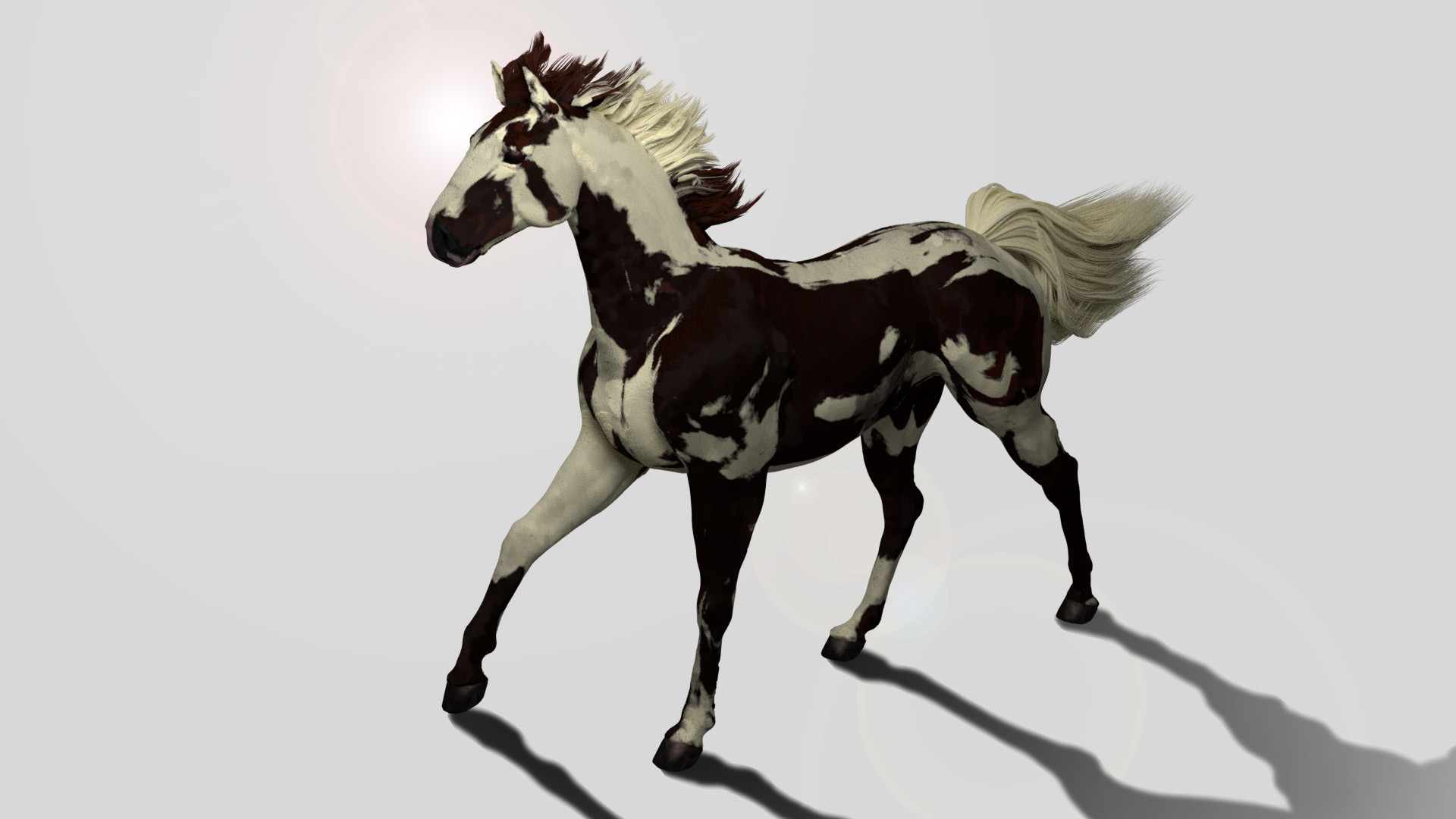 ArtStation - Pinto Horse
