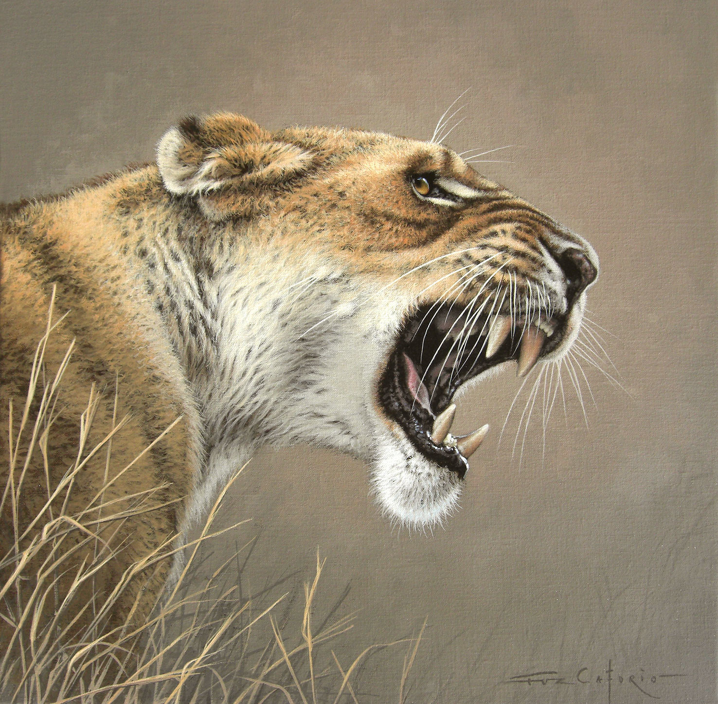 ArtStation - "Snarl"