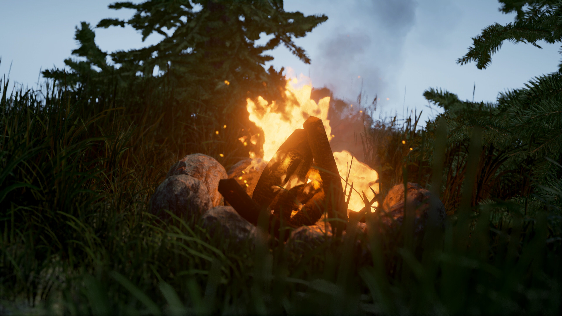 ArtStation - Campfire, grass and pines.