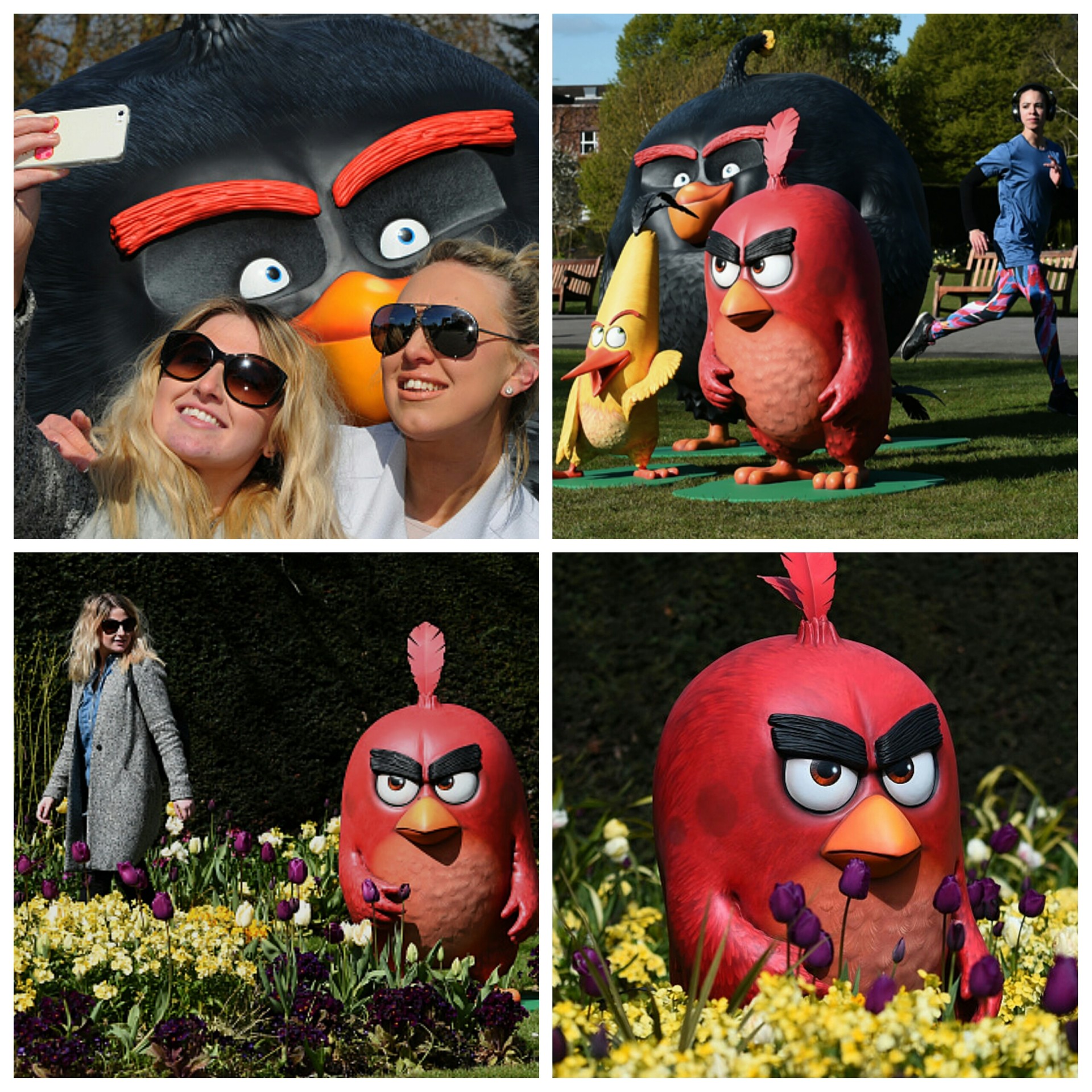 David Field - The Red and Bomb Angry Bird characters that I sculpted in ...