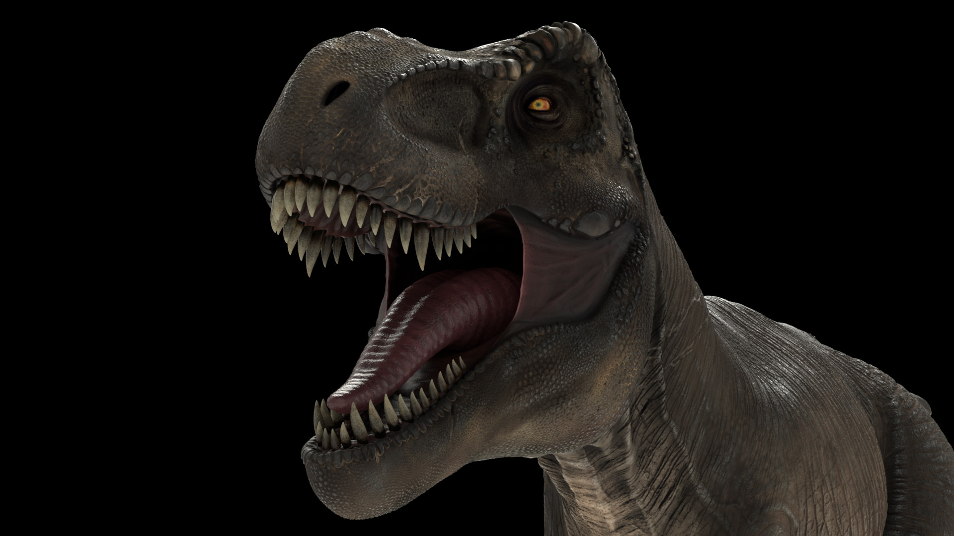 Antonio Buiano - T-rex realistic model