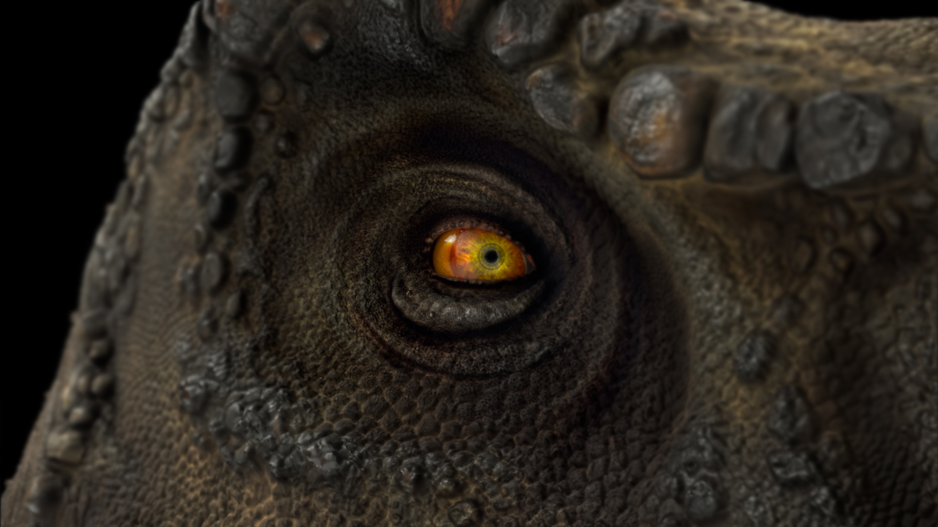 Antonio Buiano - T-rex realistic model