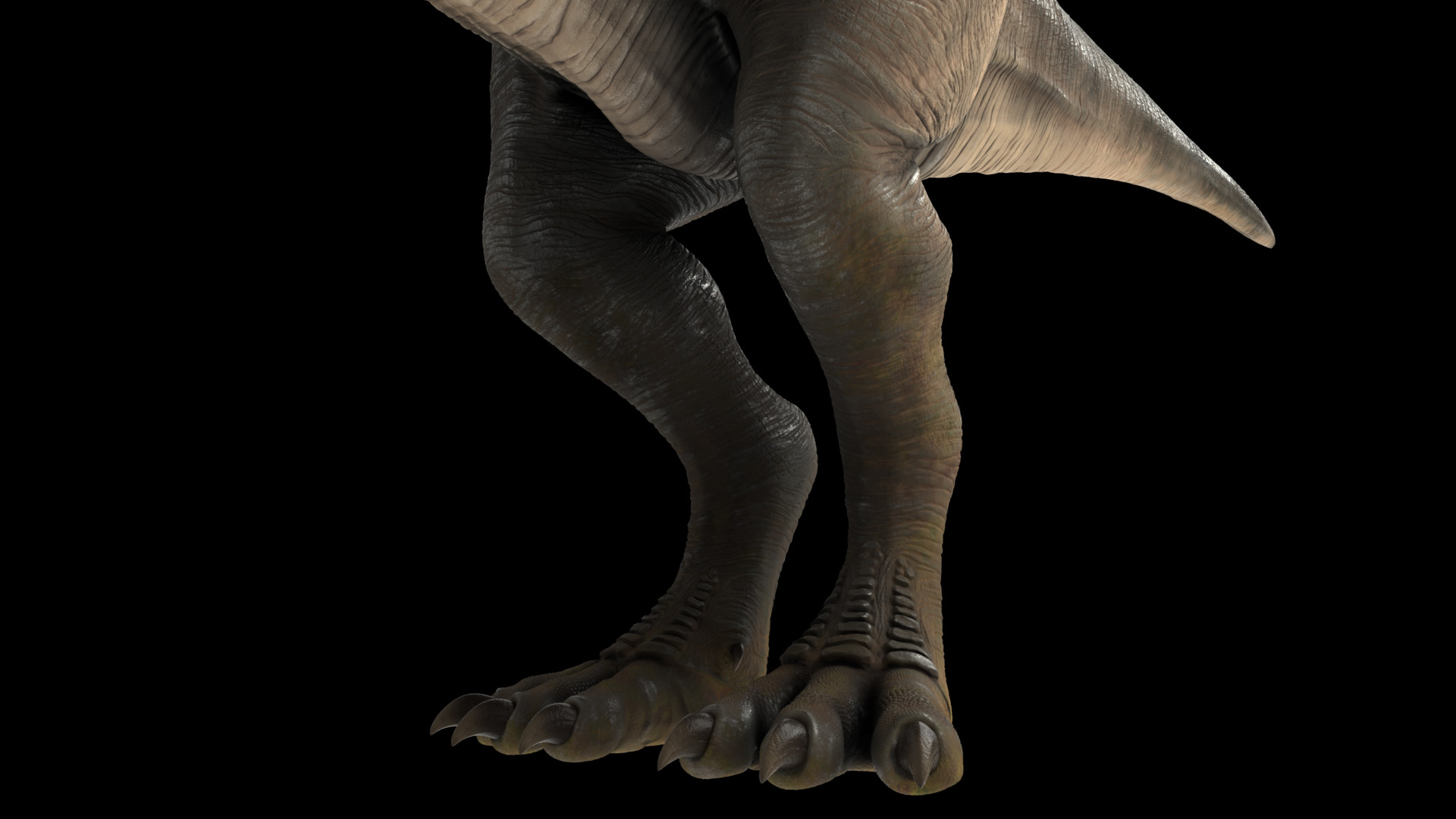 Antonio Buiano - T-rex realistic model