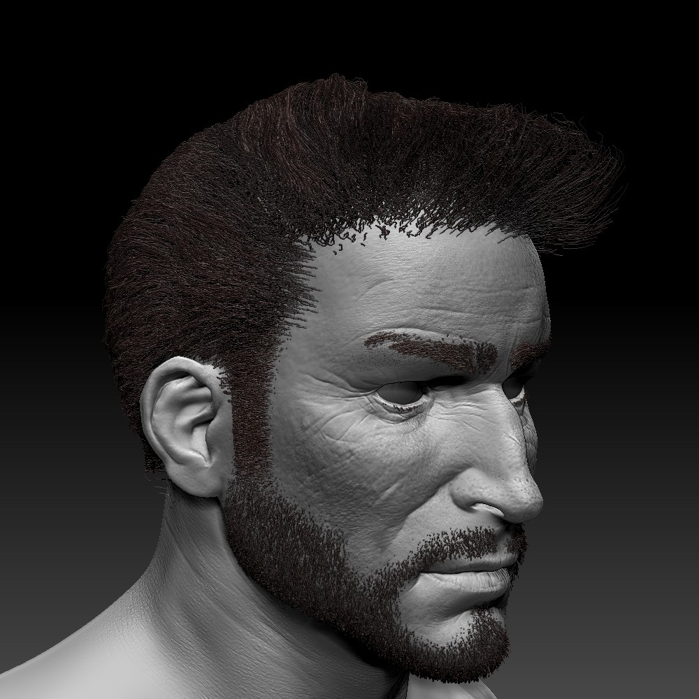 William Hobden - Bust - Detail Practice