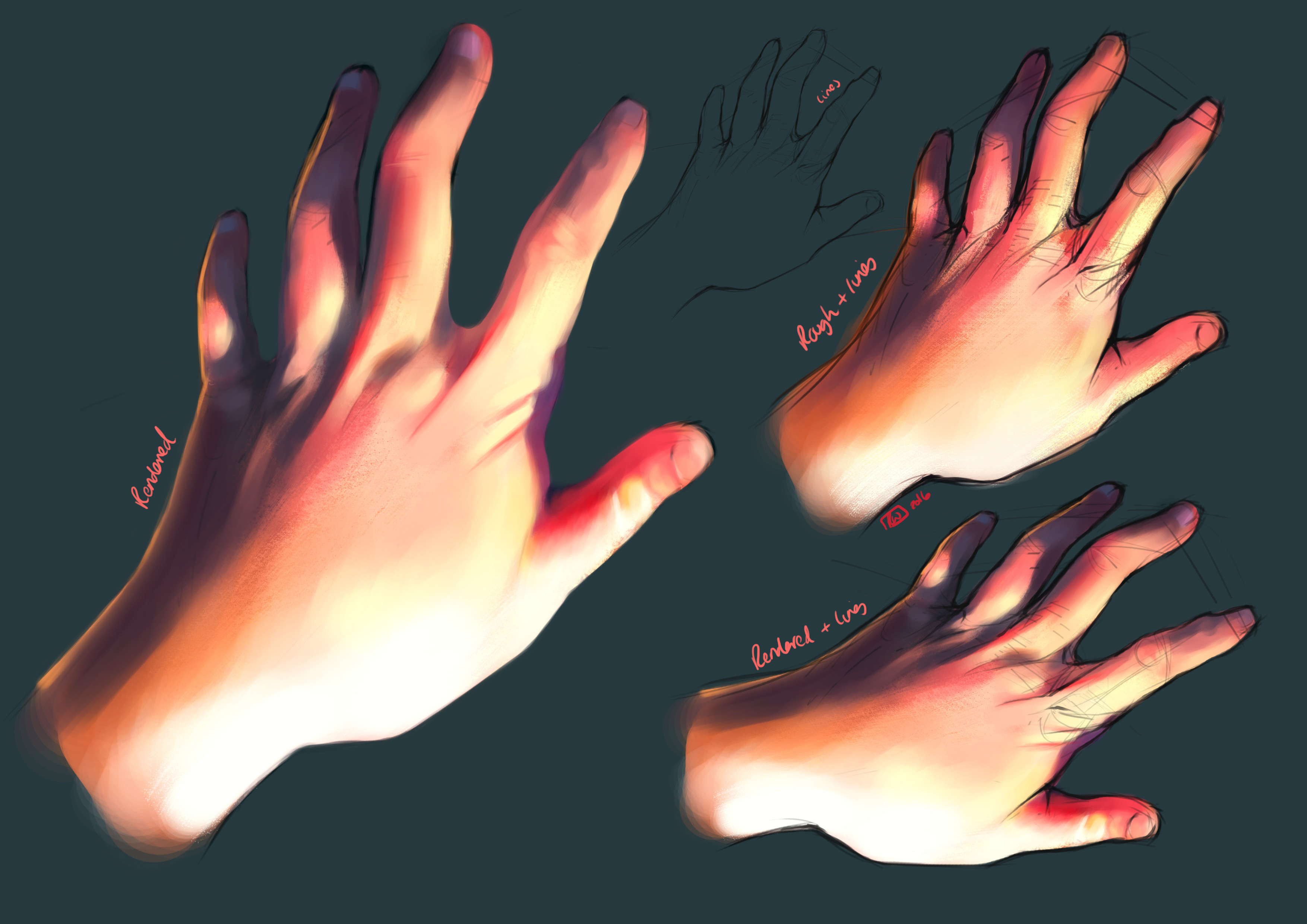 Rachel Walpole - 043/365 - Hand Studies