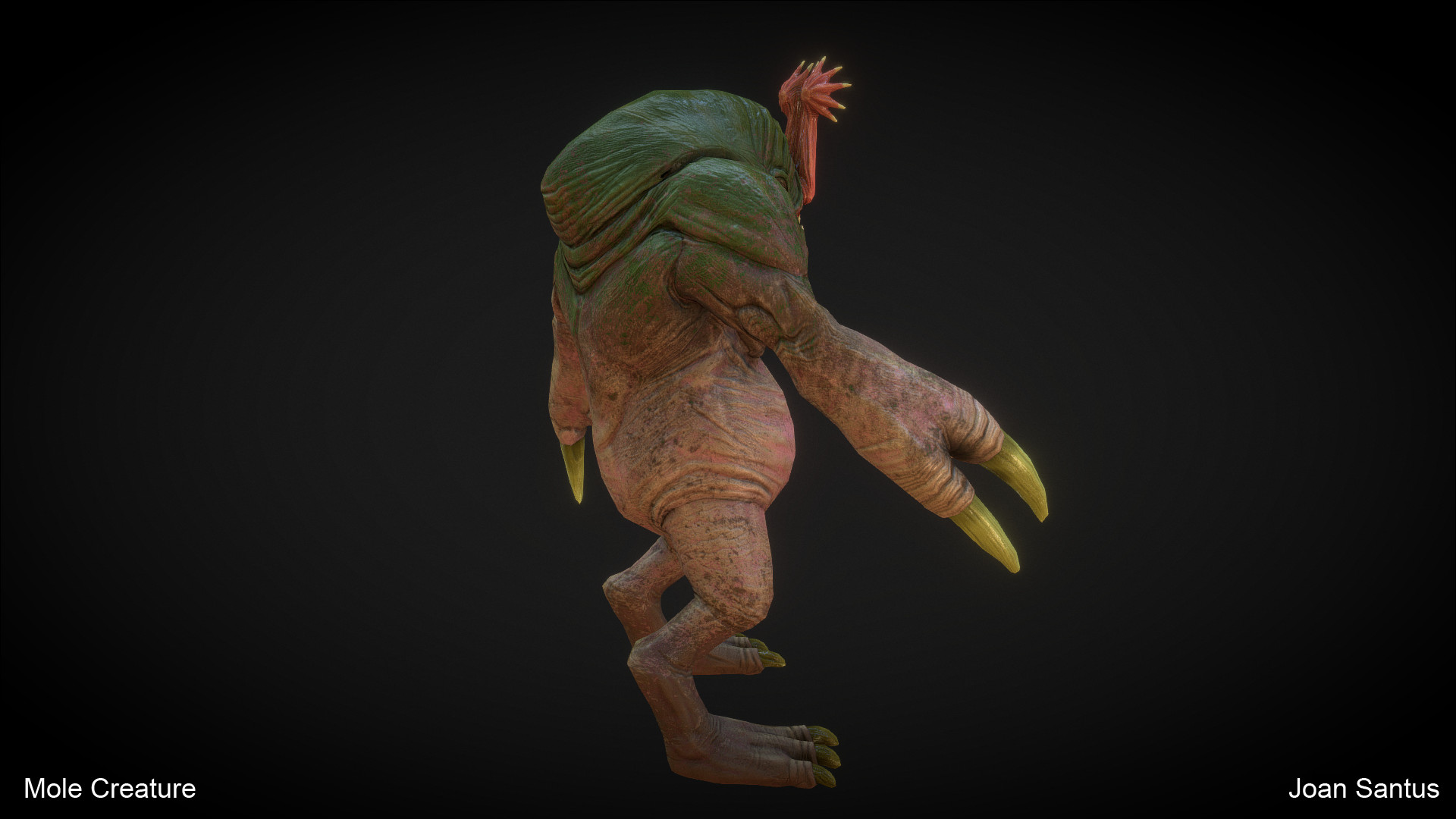 Joan Santus Sanchez - Mole Monster