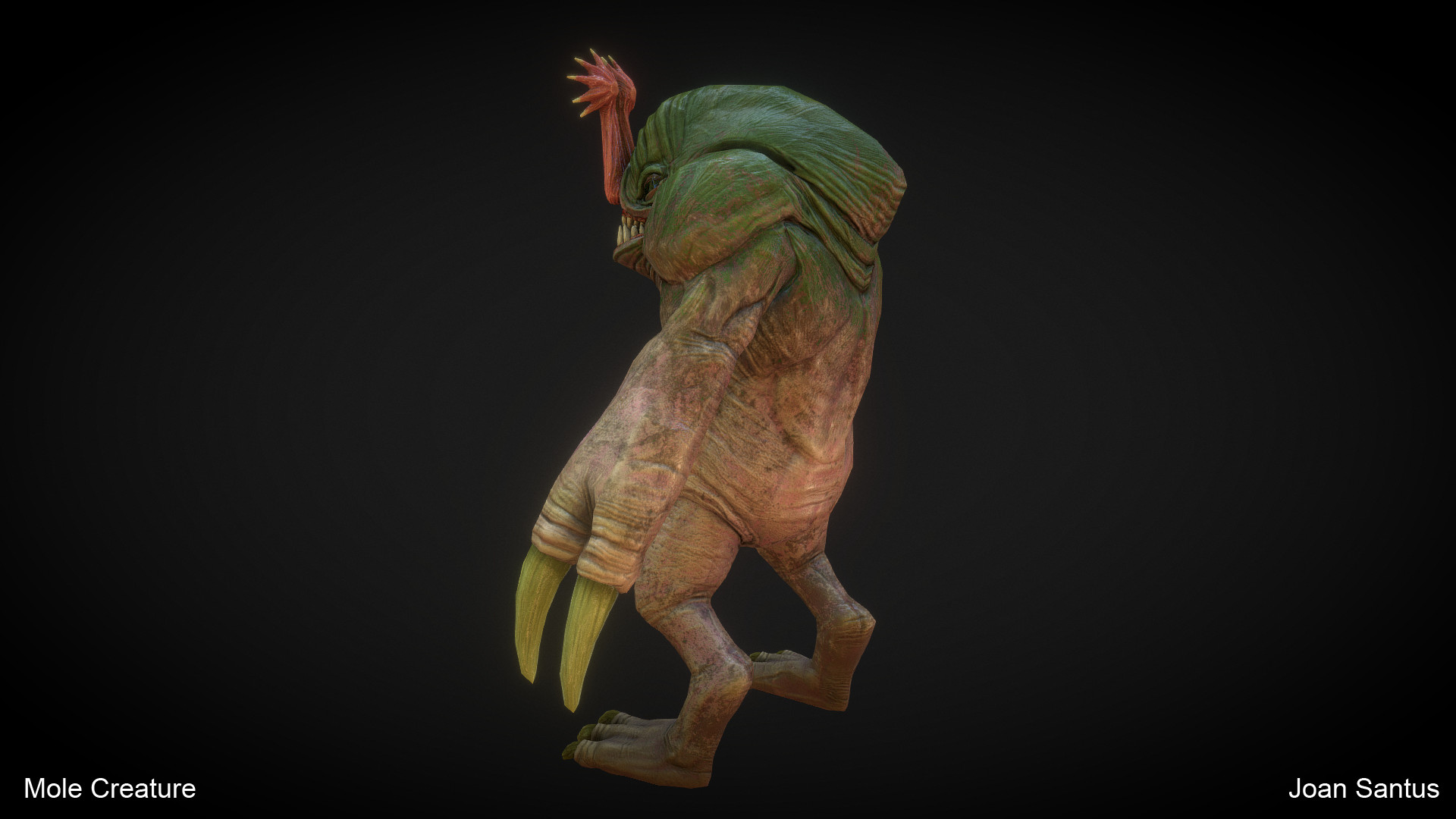 Joan Santus Sanchez - Mole Monster