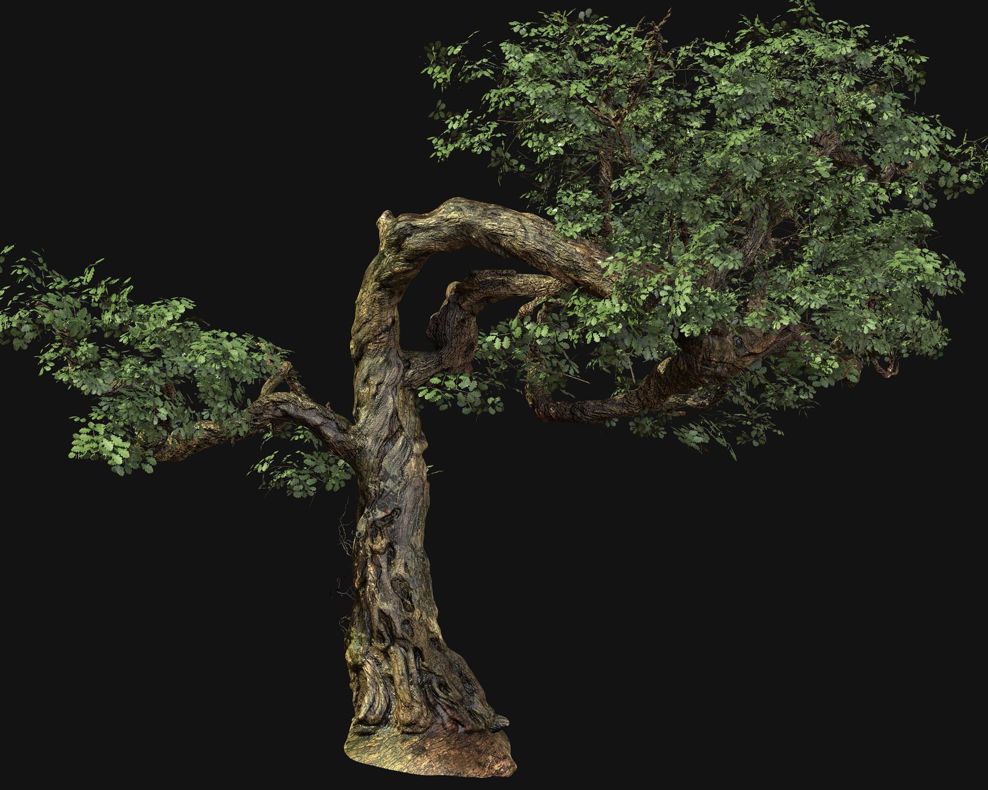 sarah wang - Tree of Fragonard's Painting "The-Swing"