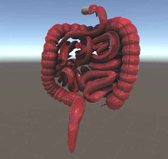 ArtStation - Human Intestines Game Assets.