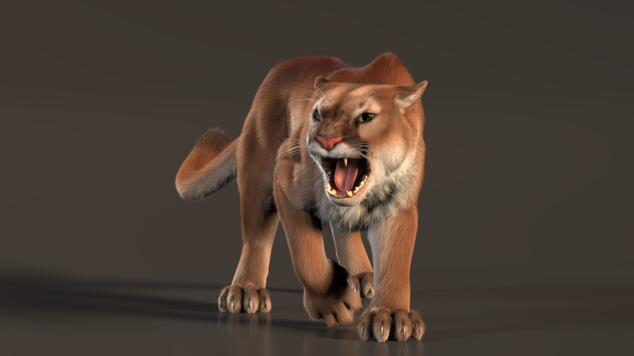 ArtStation - The Puma