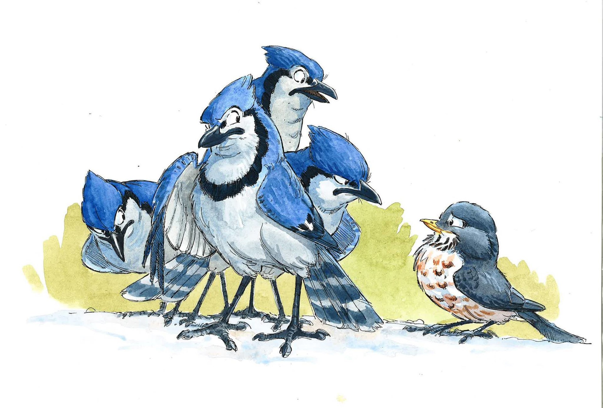 Aaron Blaise - Bird Characters