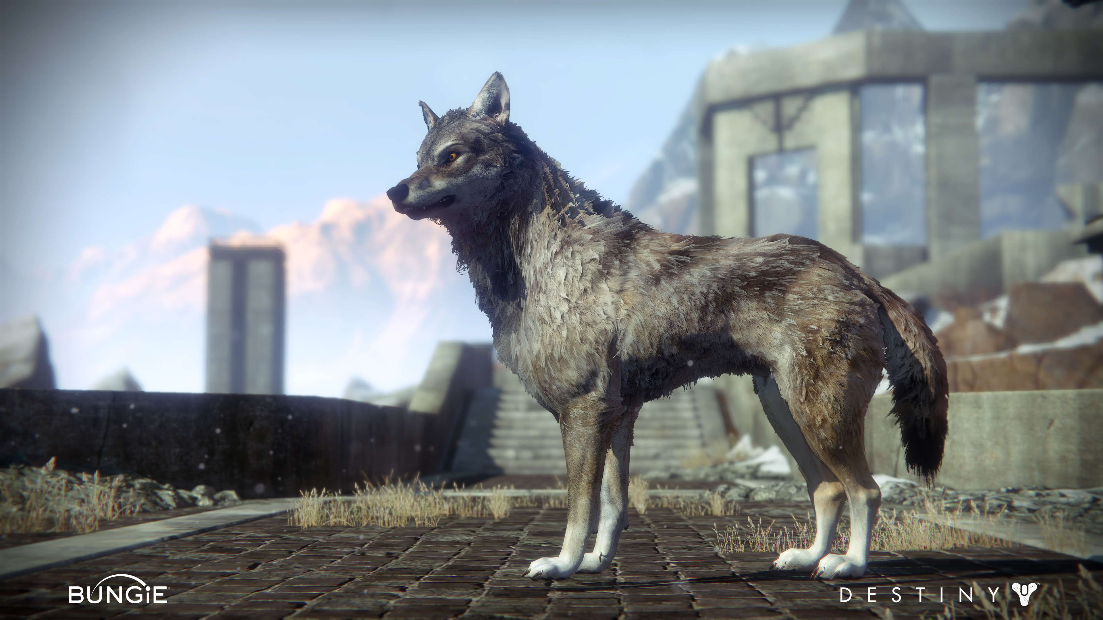 Ian McIntosh - Destiny: Rise of Iron - Wolf - Low Poly in Game