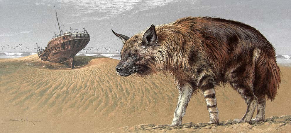 ArtStation - "Strandwolf", Fuz Caforio