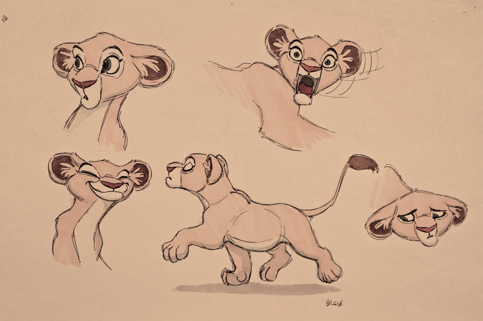 how to draw young nala from lion king