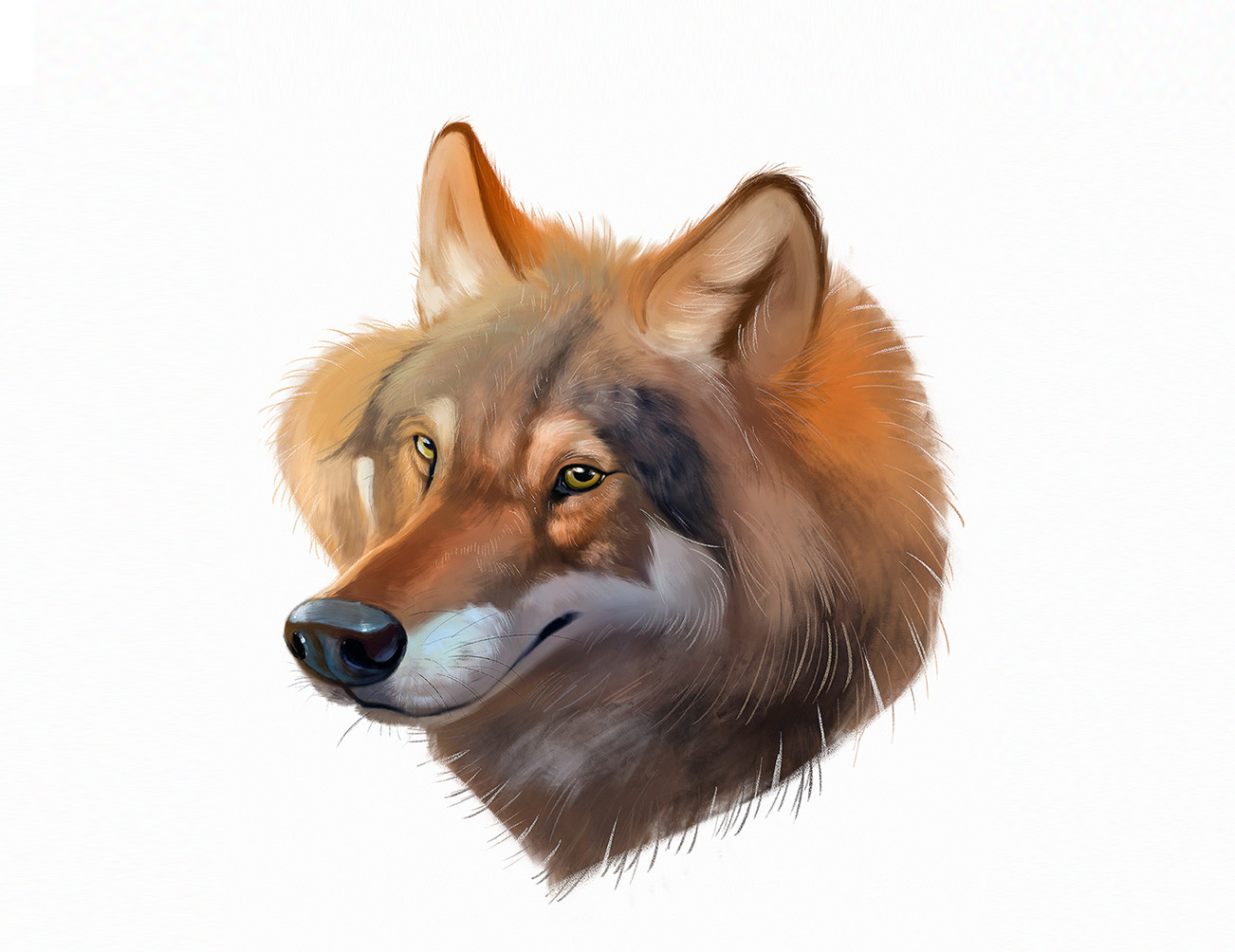 ArtStation - Wolf study Digital Paint