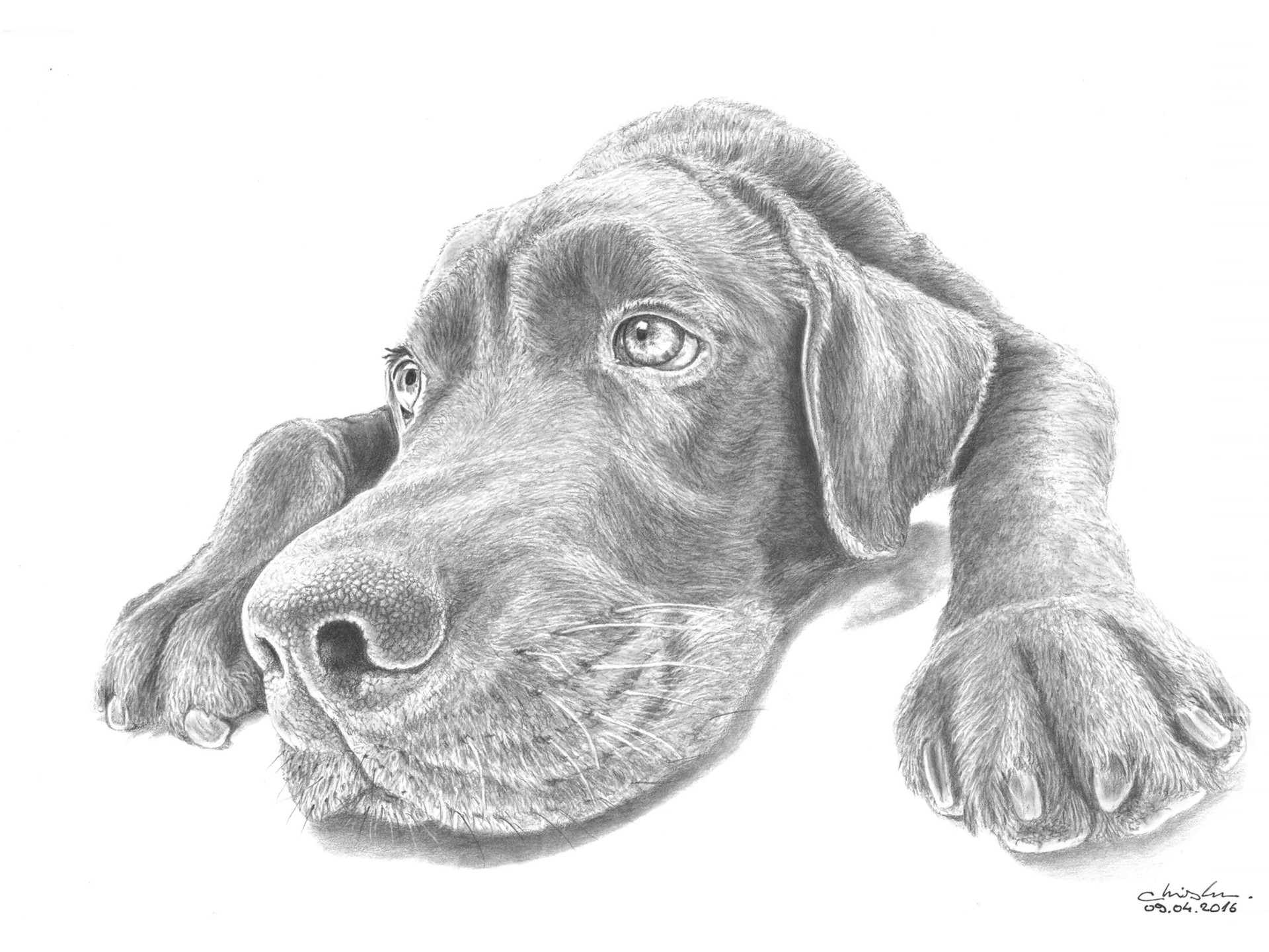 ArtStation - Careless