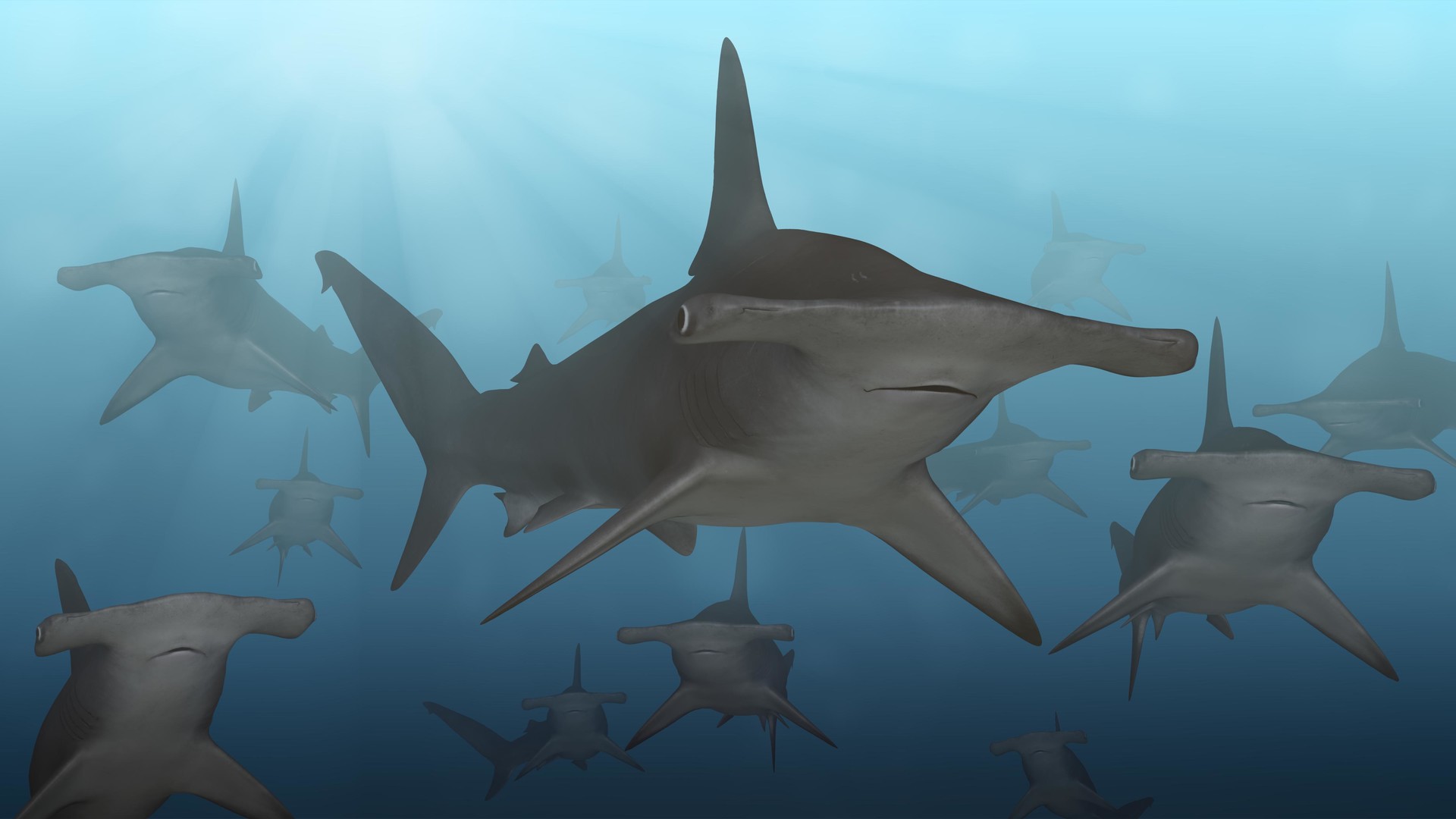 ArtStation - Hammerhead 3D