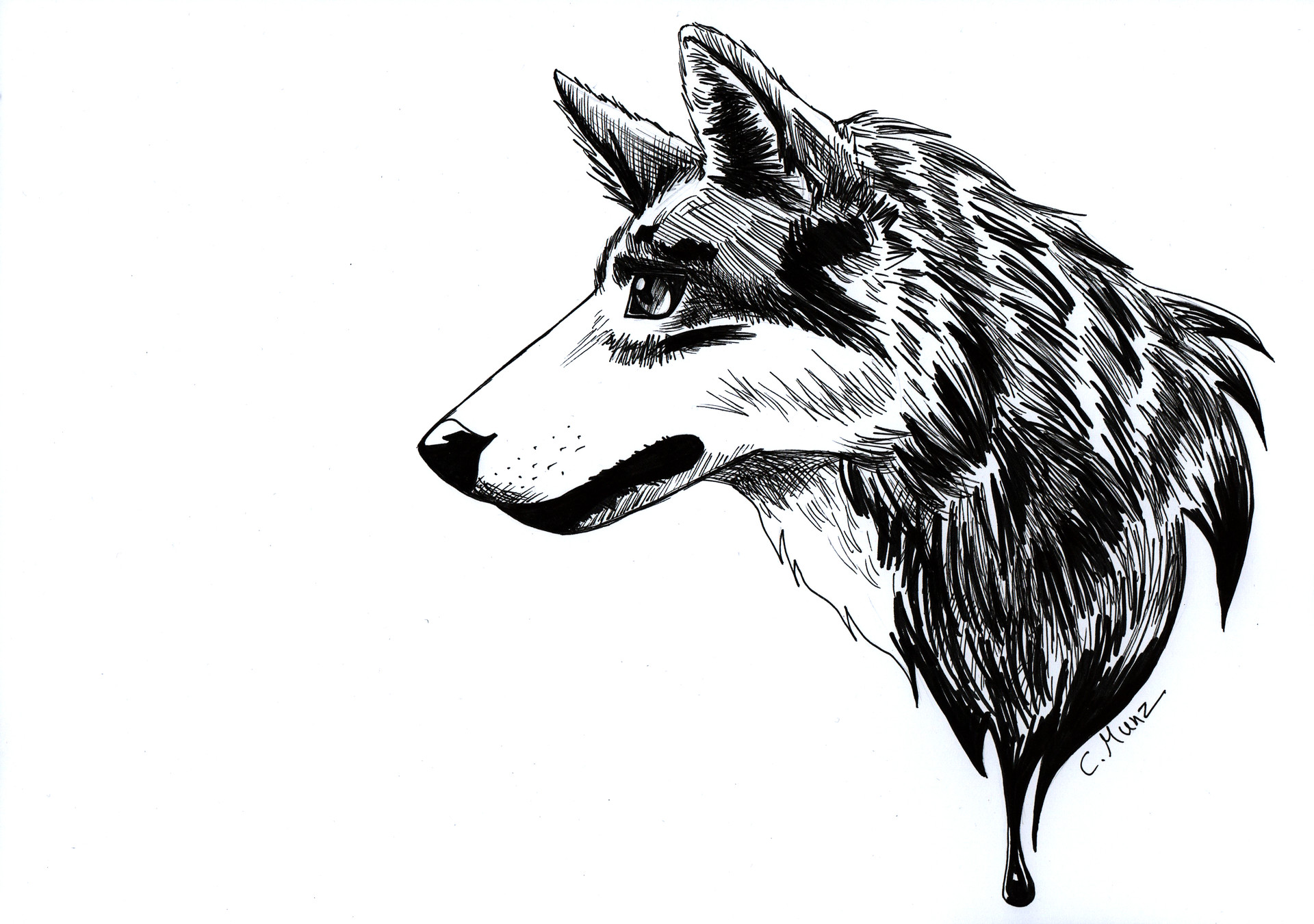 ArtStation - Ink Wolf