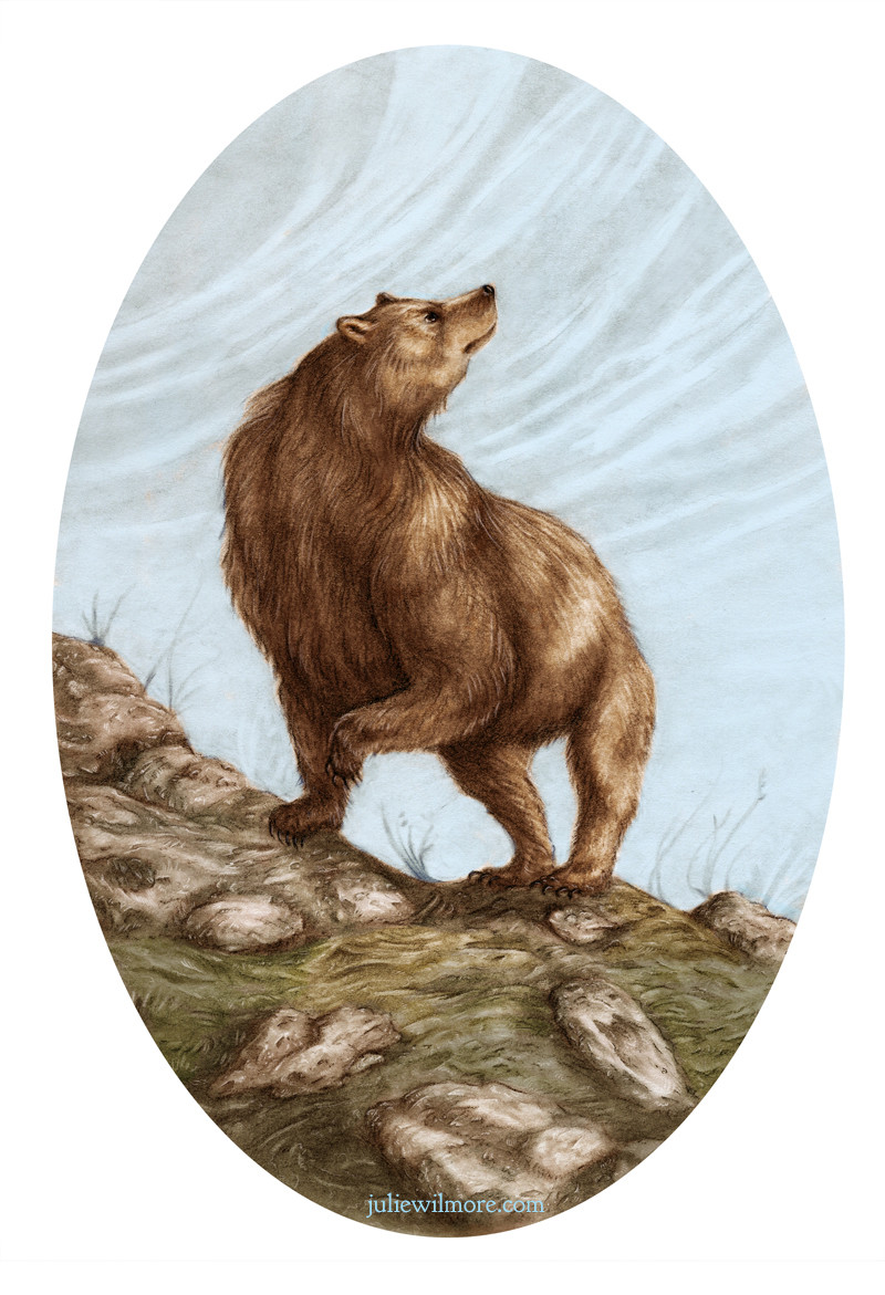 ArtStation - The Great Bear