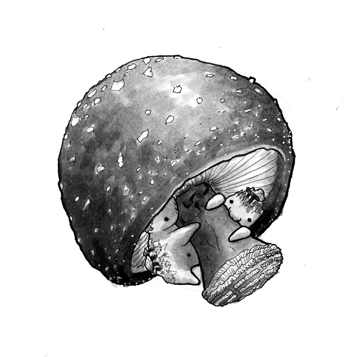 Tyler Dantuma - Inktober_06_Hidden