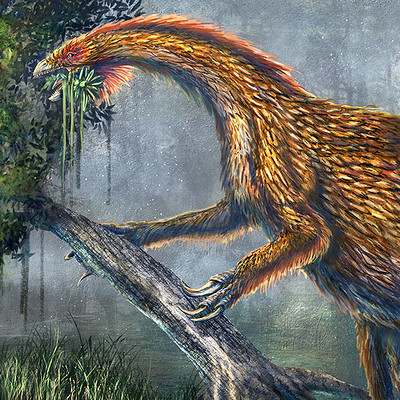 nothronychus graffami