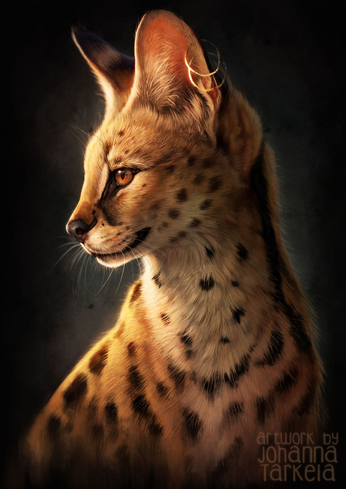 ArtStation - Serval portrait