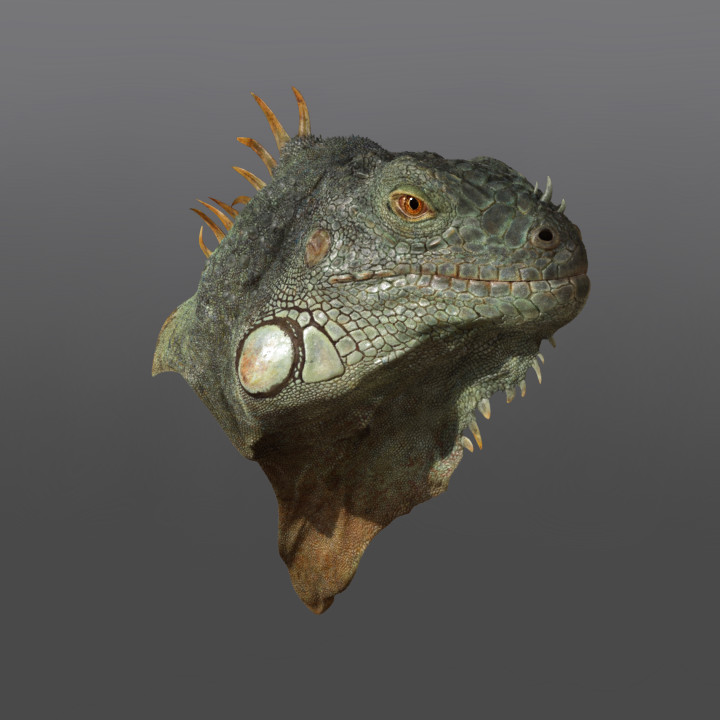 Marshall Merriman's Instagram, Twitter & Facebook on IDCrawl