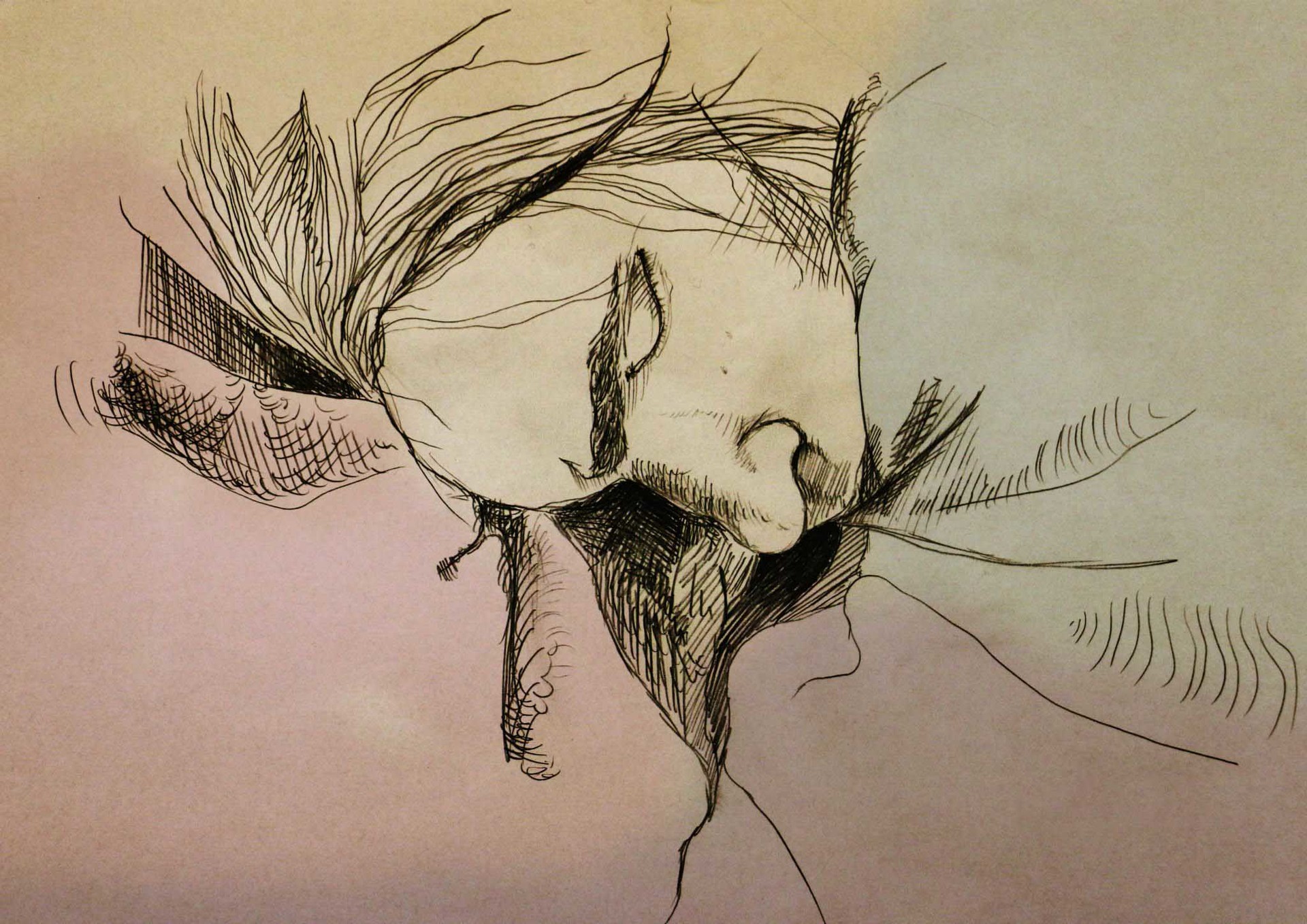 ArtStation - Slumber