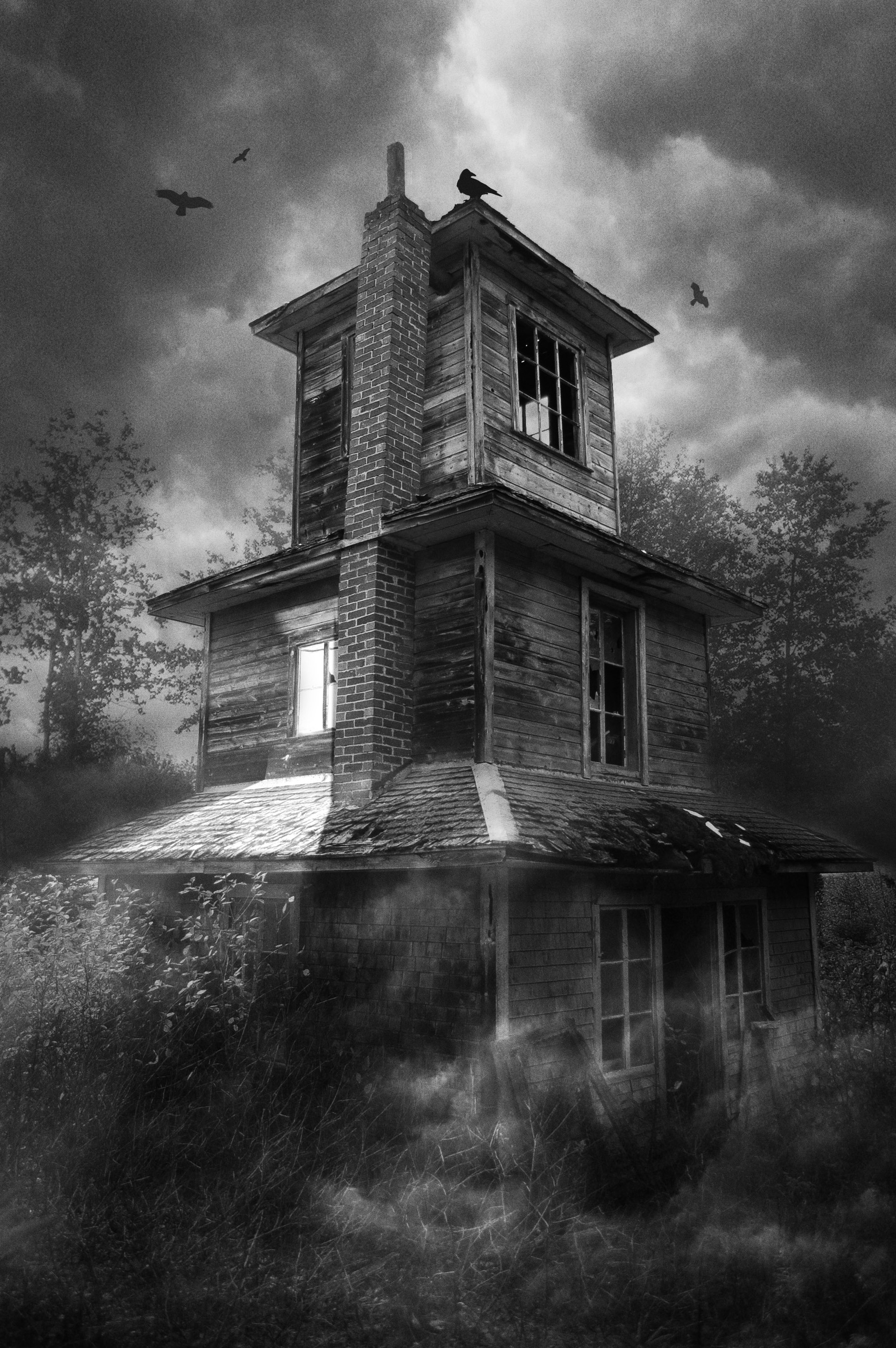 ArtStation - RAVEN HOUSE